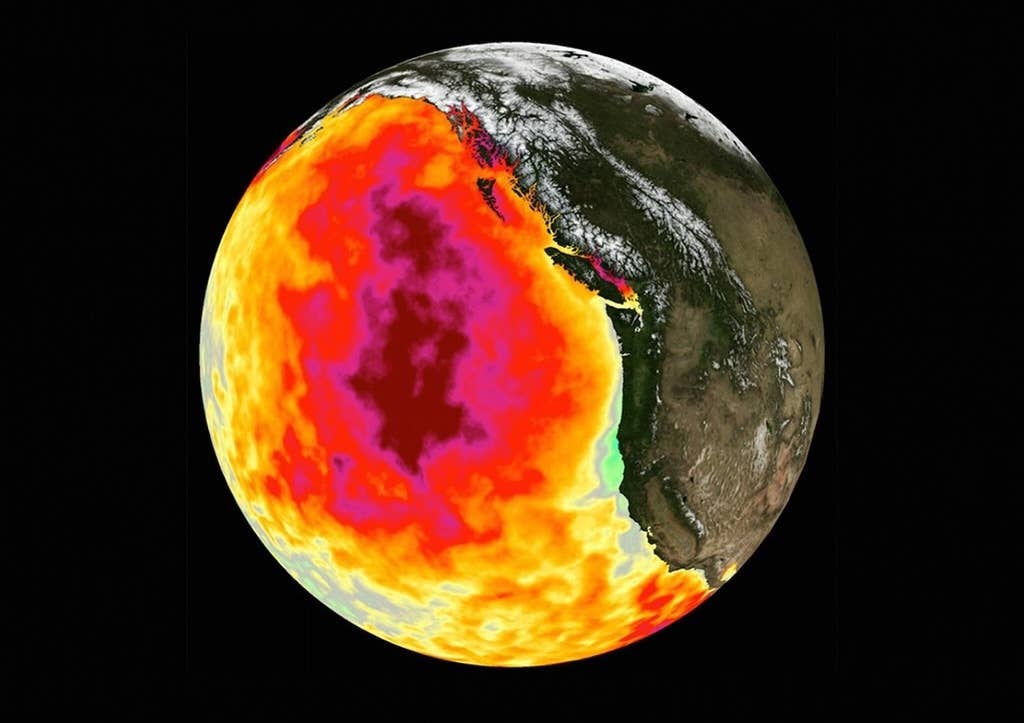 Strange ‘Warm Blob’ Resurfaces in Pacific Ocean - Surfer