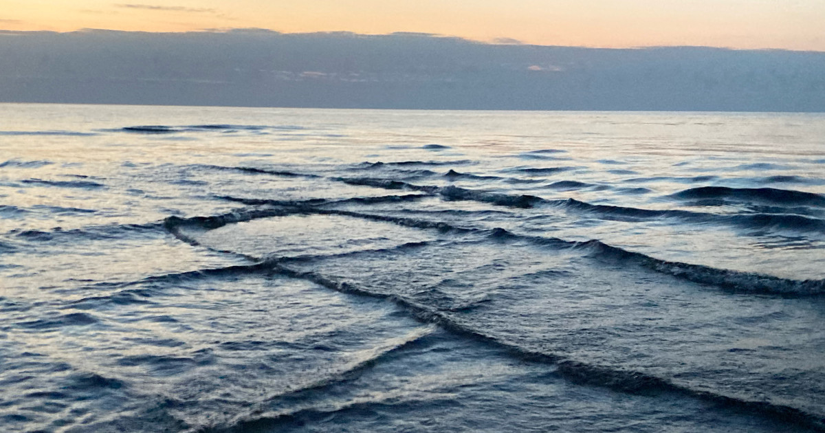 Square Waves: What Are They and Are They Dangerous? - Surfer