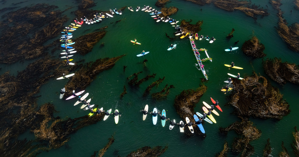 Iconic Surfer, Inventor Doc Scott Honored in Santa Cruz (Photos) - Surfer