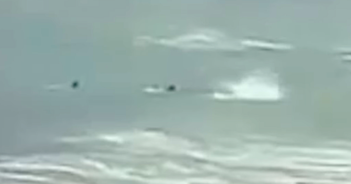 Shark Attack Caught on Camera in Sydney, Surfer ‘Fighting for His Life ...