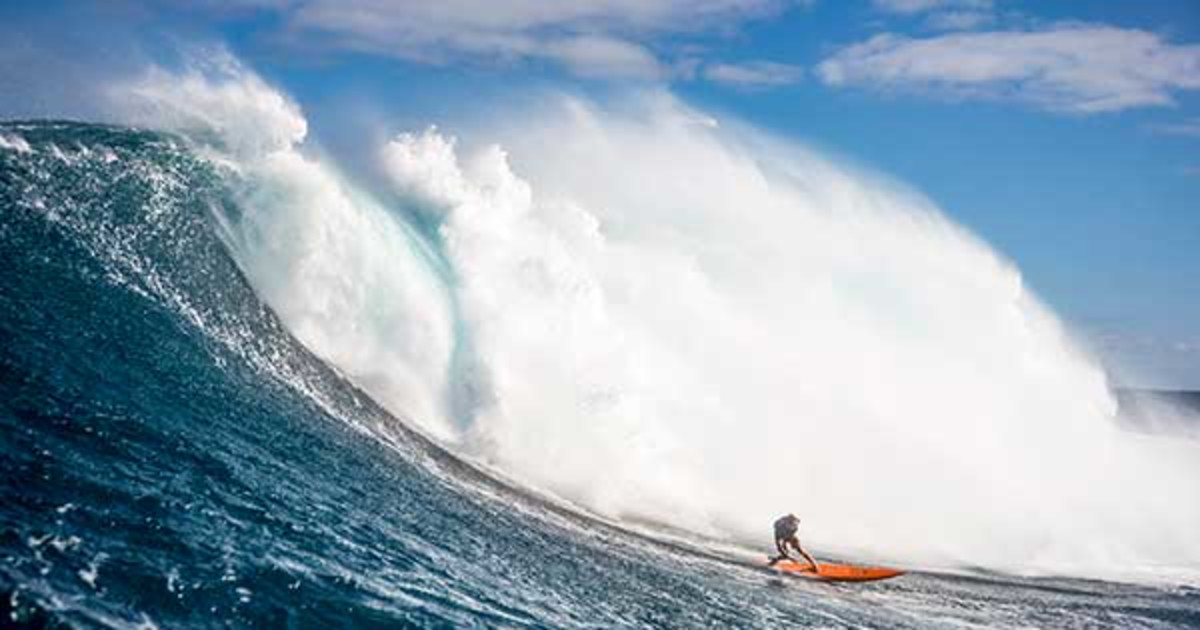 Jaws' Embrace - Surfer
