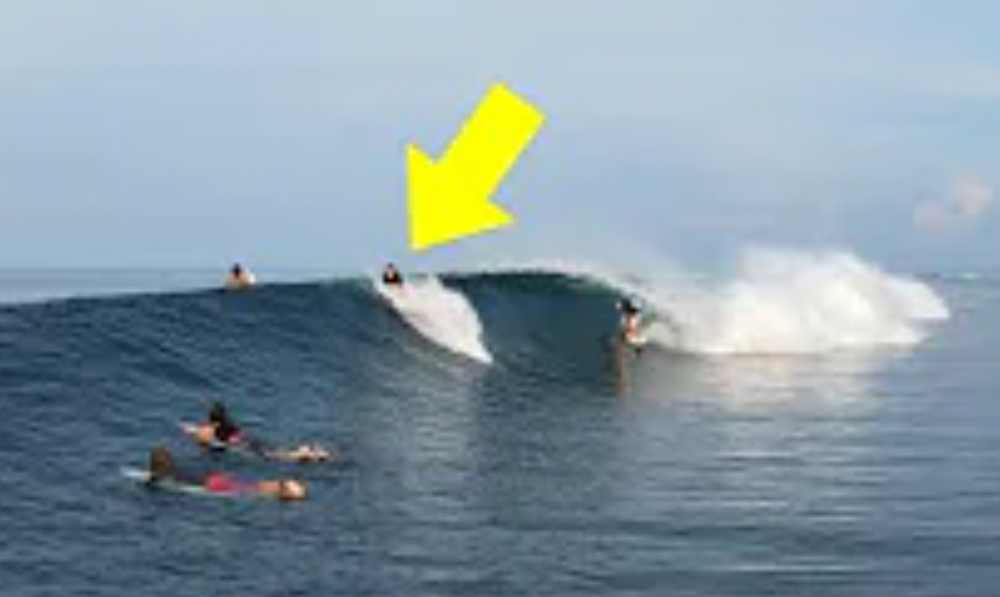 Poor Surfing Etiquette, Visualized - Surfer