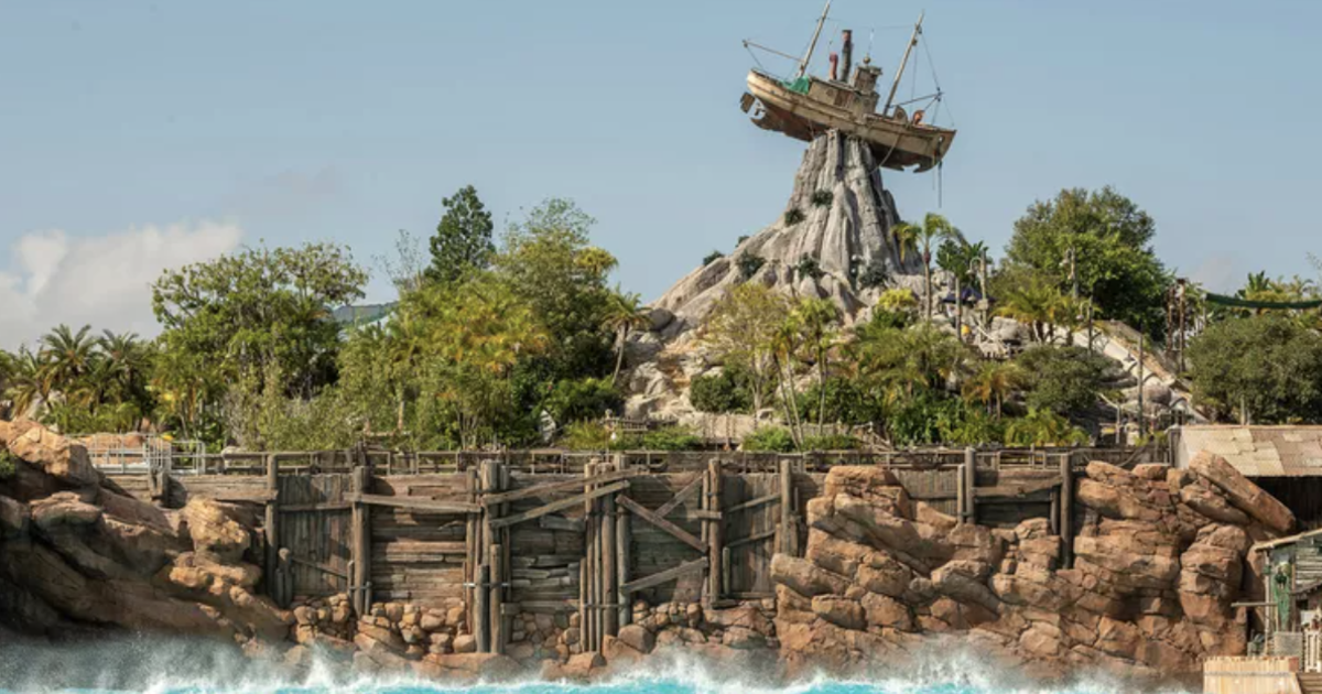 Mom Sues Disney Wave Pool for $2,000,000: “There Was Blood” - Surfer