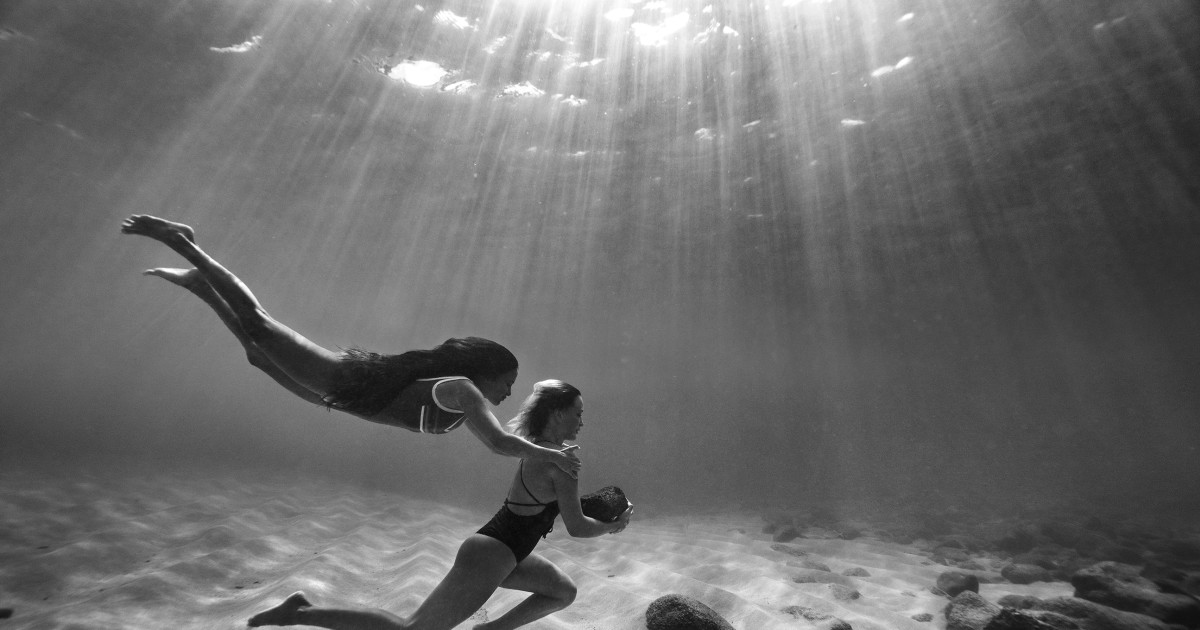 A True Masterpiece, "NORTH" by Brown Cannon III - Surfer