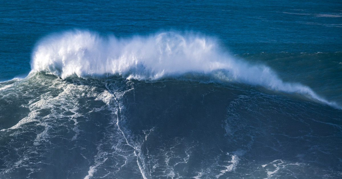 Maya and the Wave: The Love/Fear Biopic of a Brazilian Big Wave ...