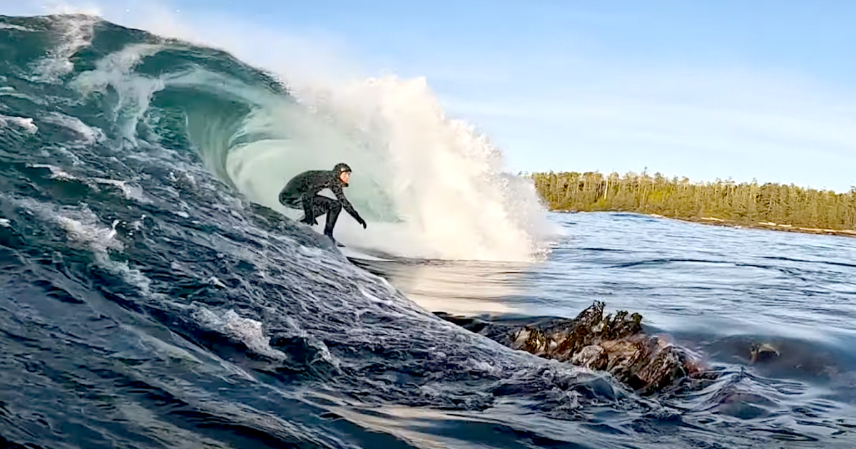 Surfing with Wolves in the Wilds of Canada (Video)