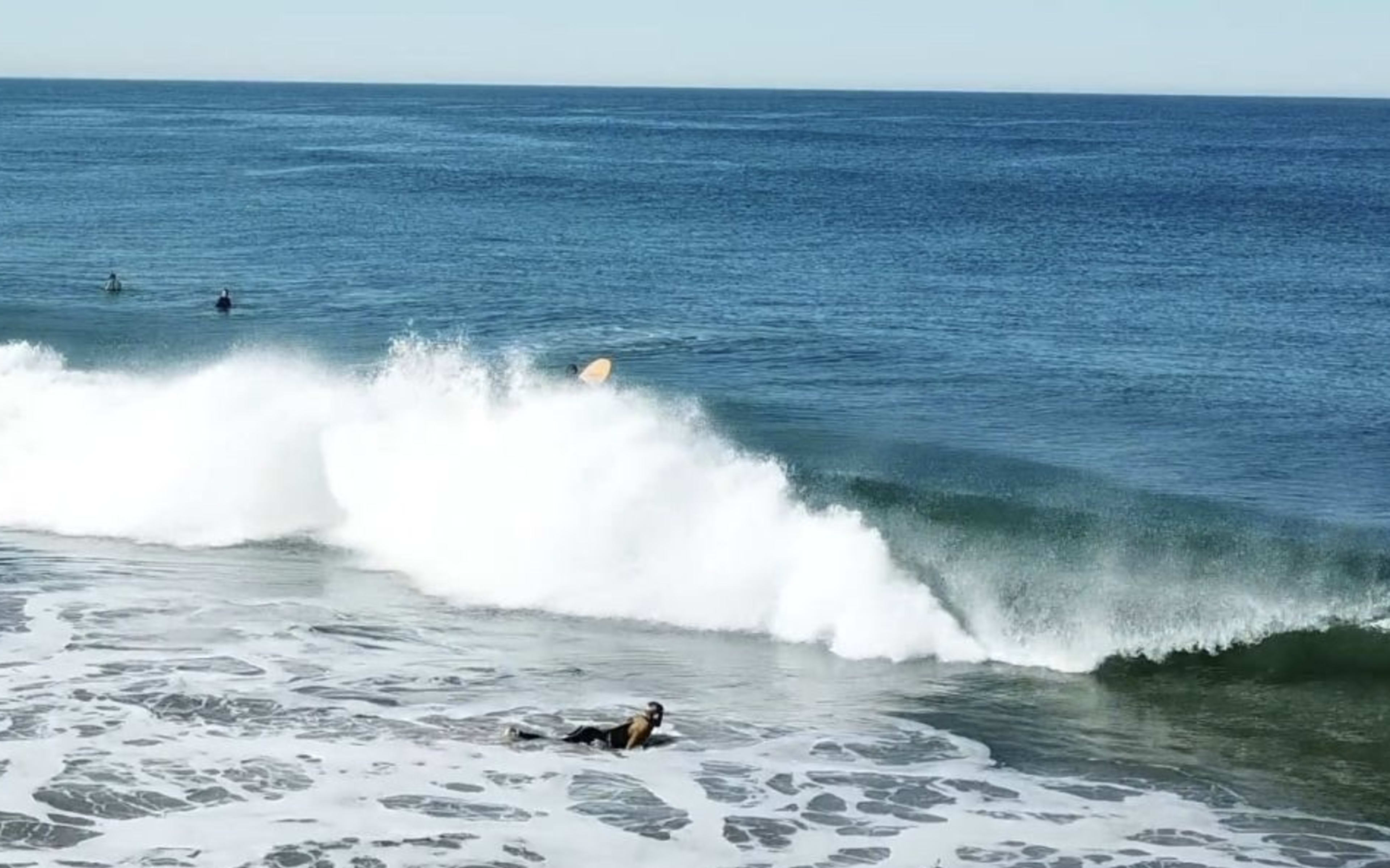 Surfing 101: How To Duck Dive and Paddle Efficiently