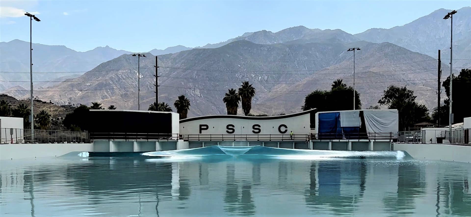 Palm Springs Surf Club for Dummies