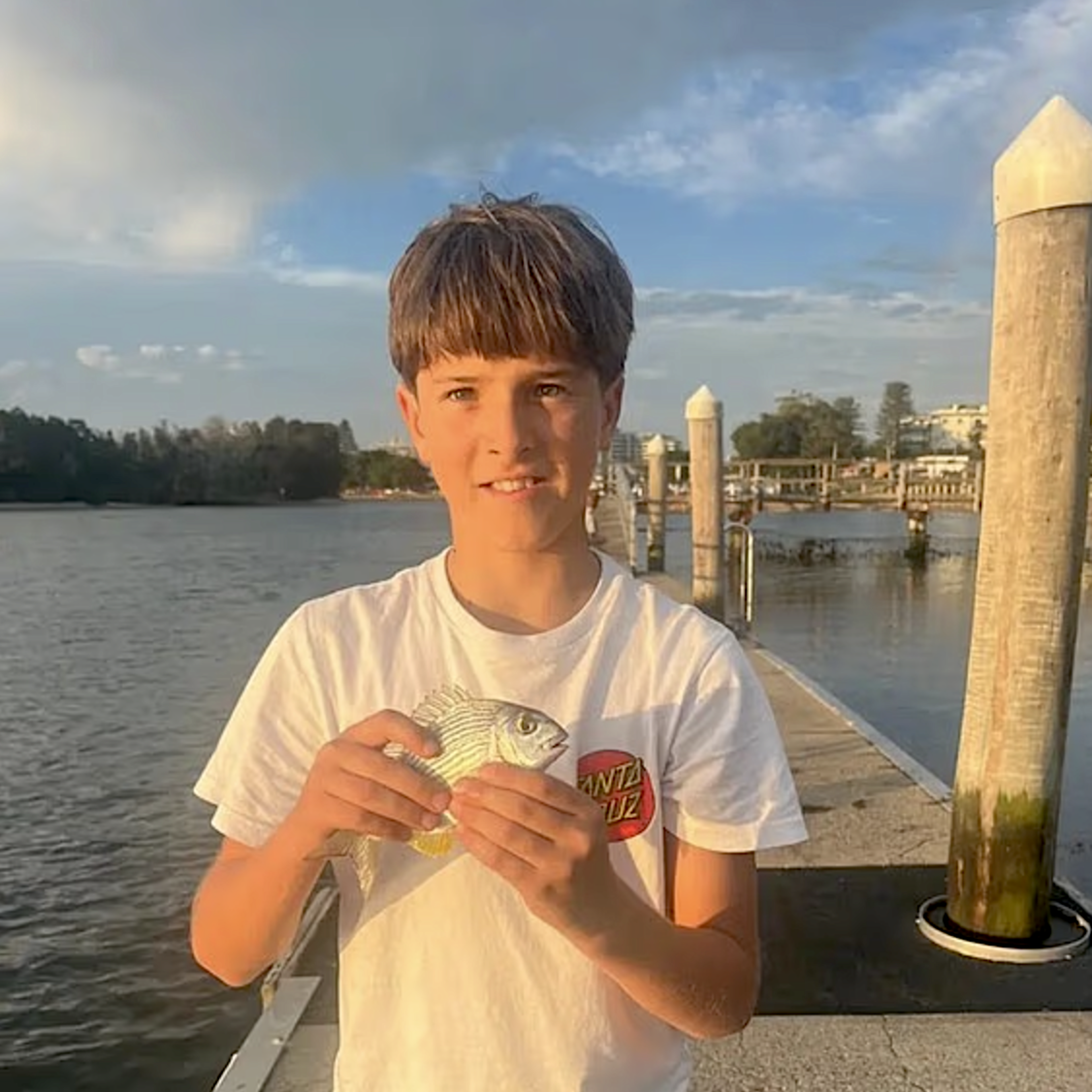 12-Year-Old Boy 'Brain-Dead and Will Never Wake Up' After Sydney Shark ...