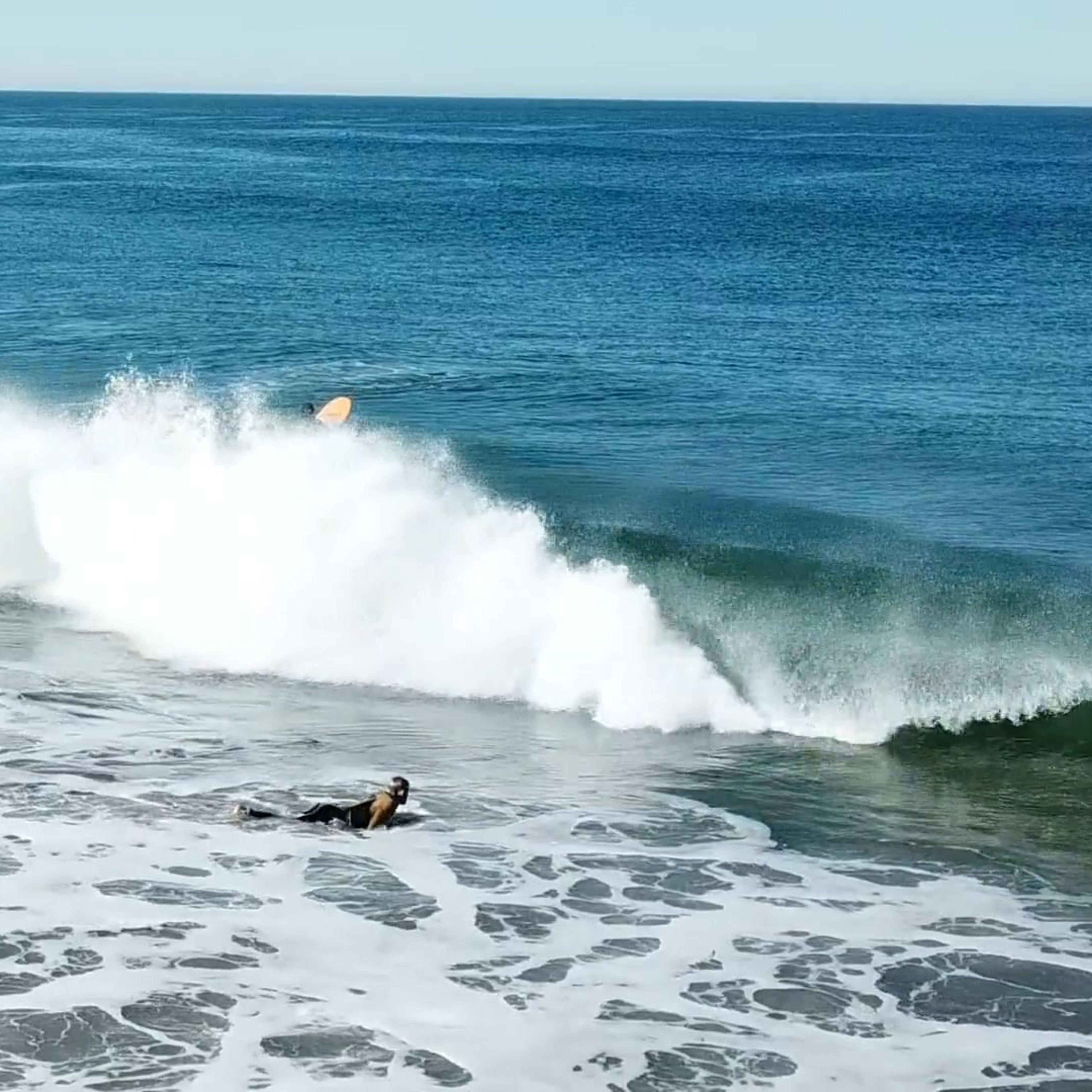 Surfing 101: How To Catch a Wave for the First Time - Surfer