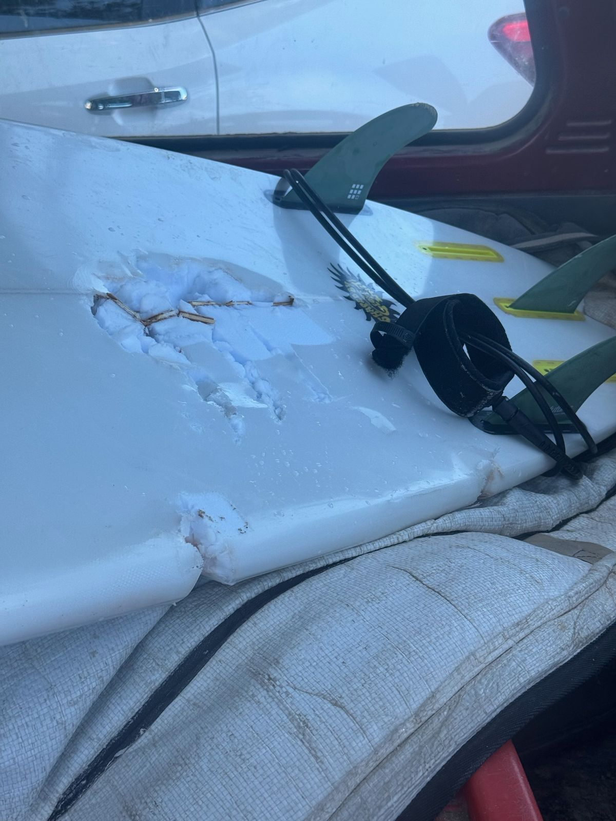 Search for Missing Surfer: “Lance’s Body’s Inside the Shark” - Surfer