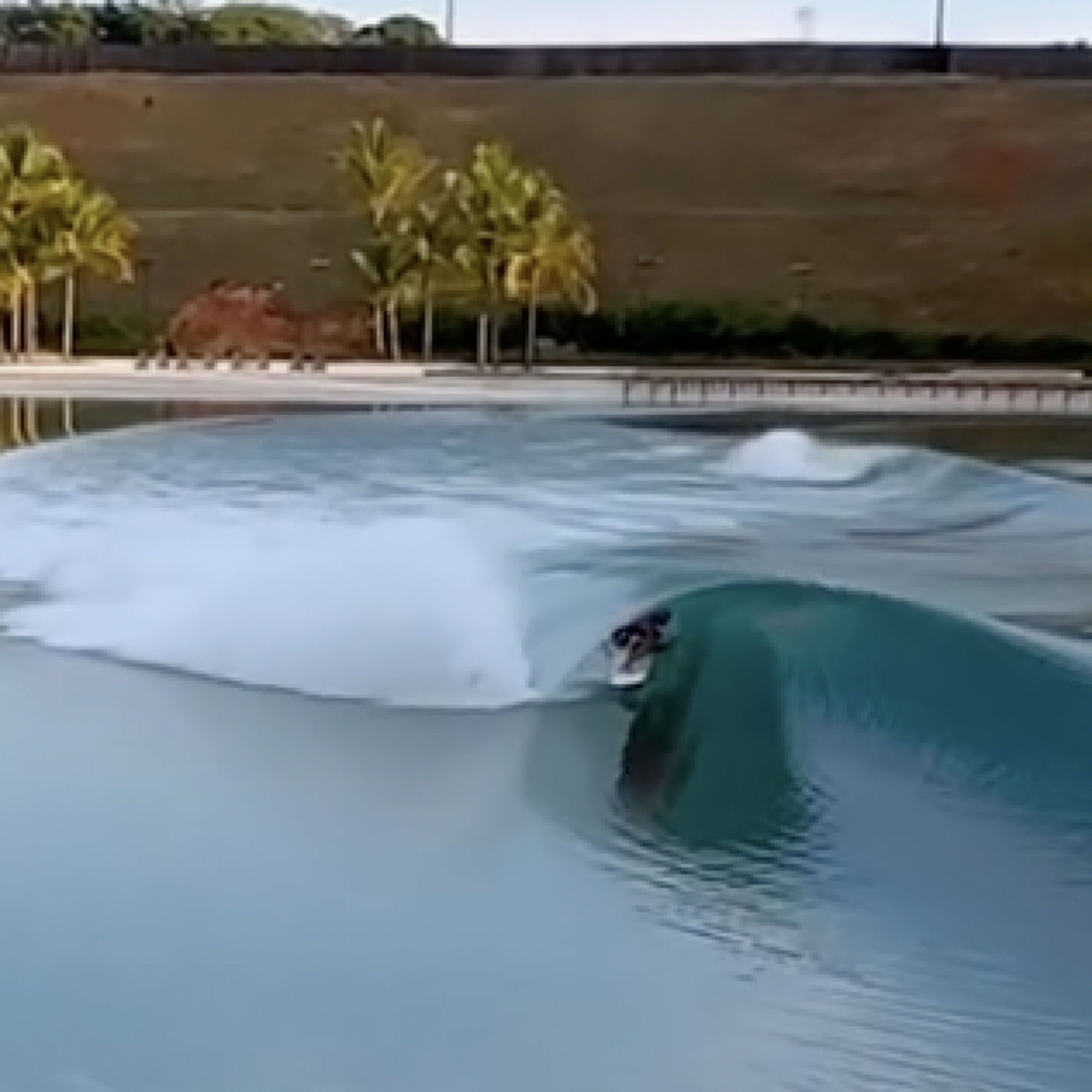 A Comprehensive List of Every Wave Pool in the World - Surfer