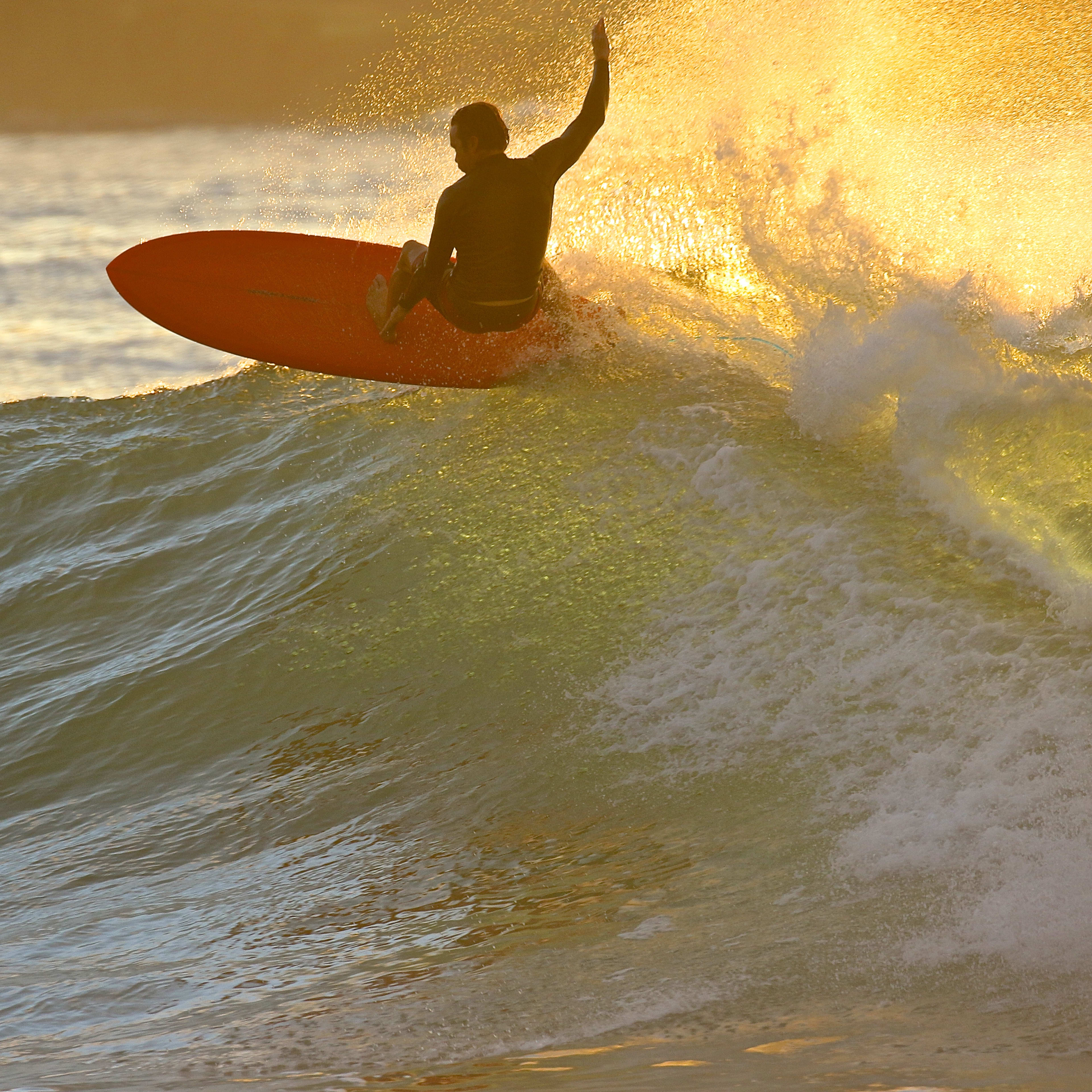 The Hawaii Surfing Museum & The Center of Radical Education