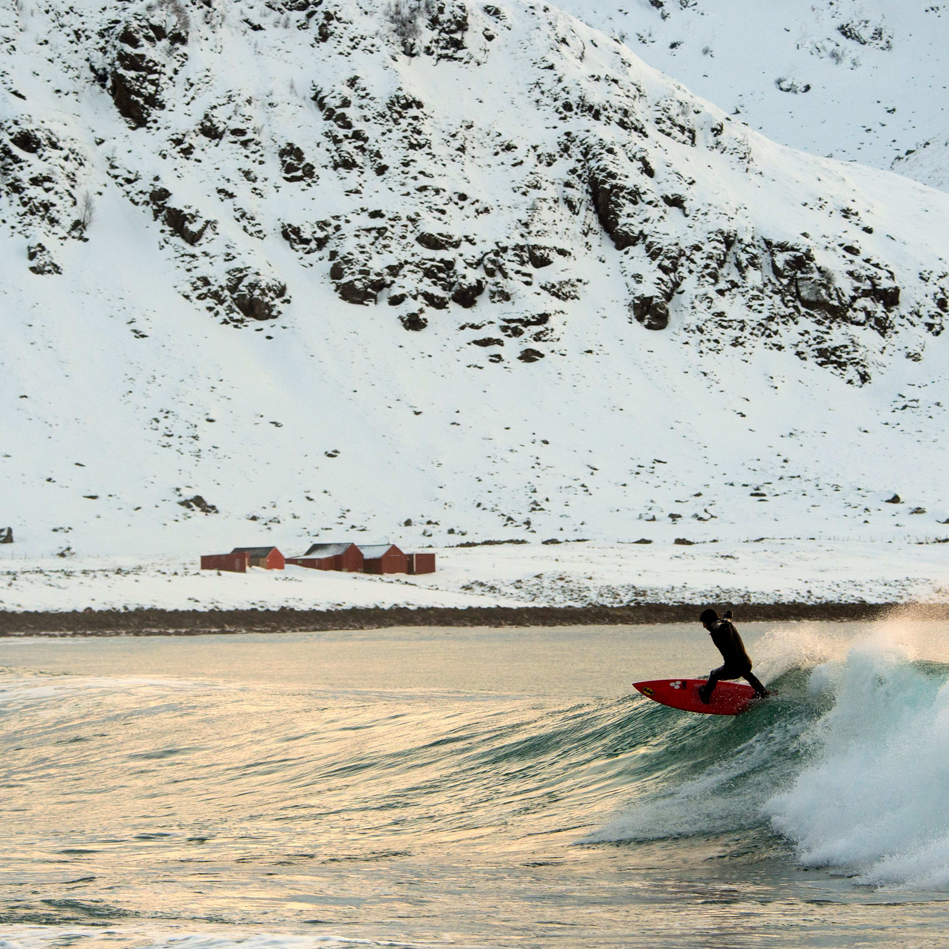 How To Choose the Right Fins