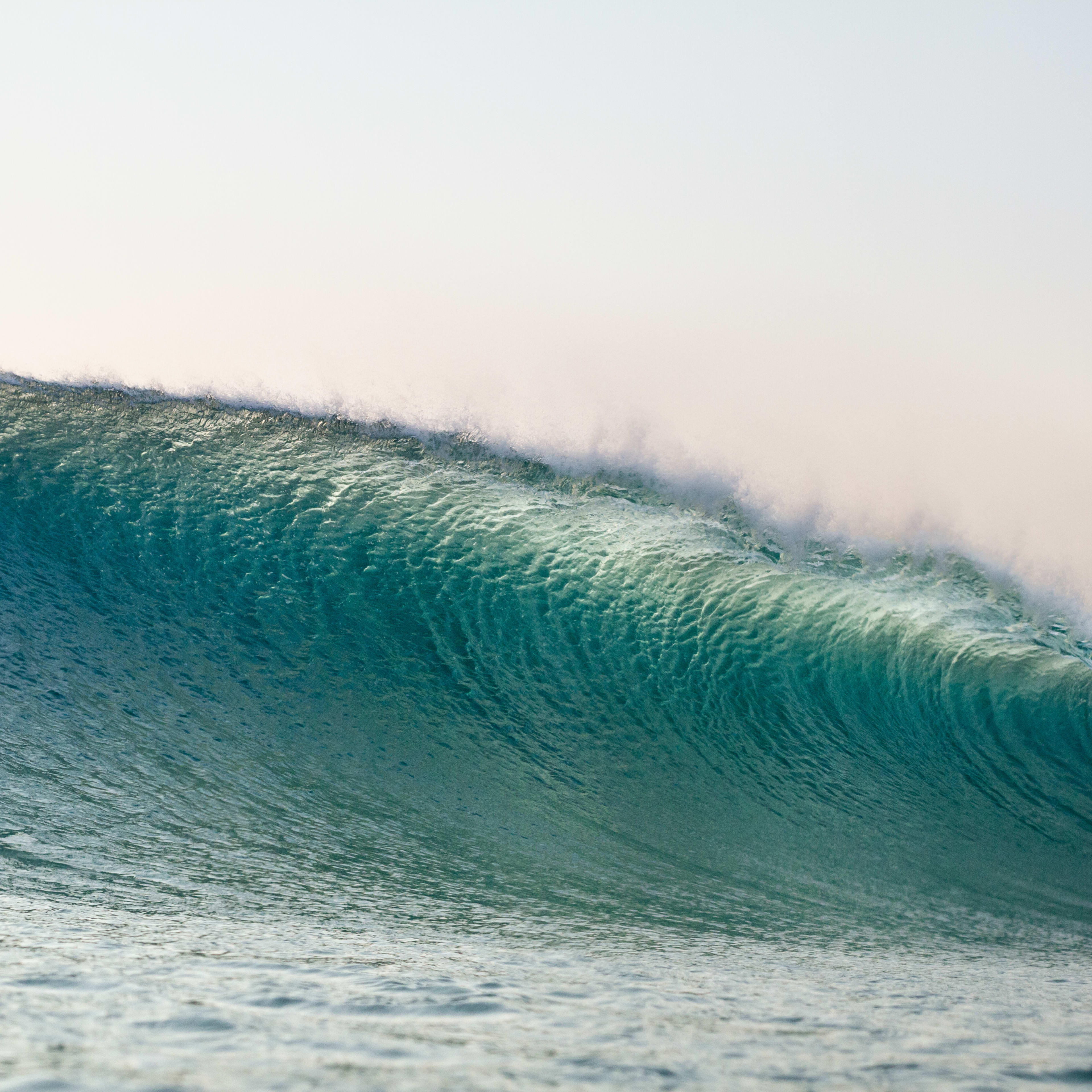 The Truth Behind 100-Foot Waves: Fact or Fiction?