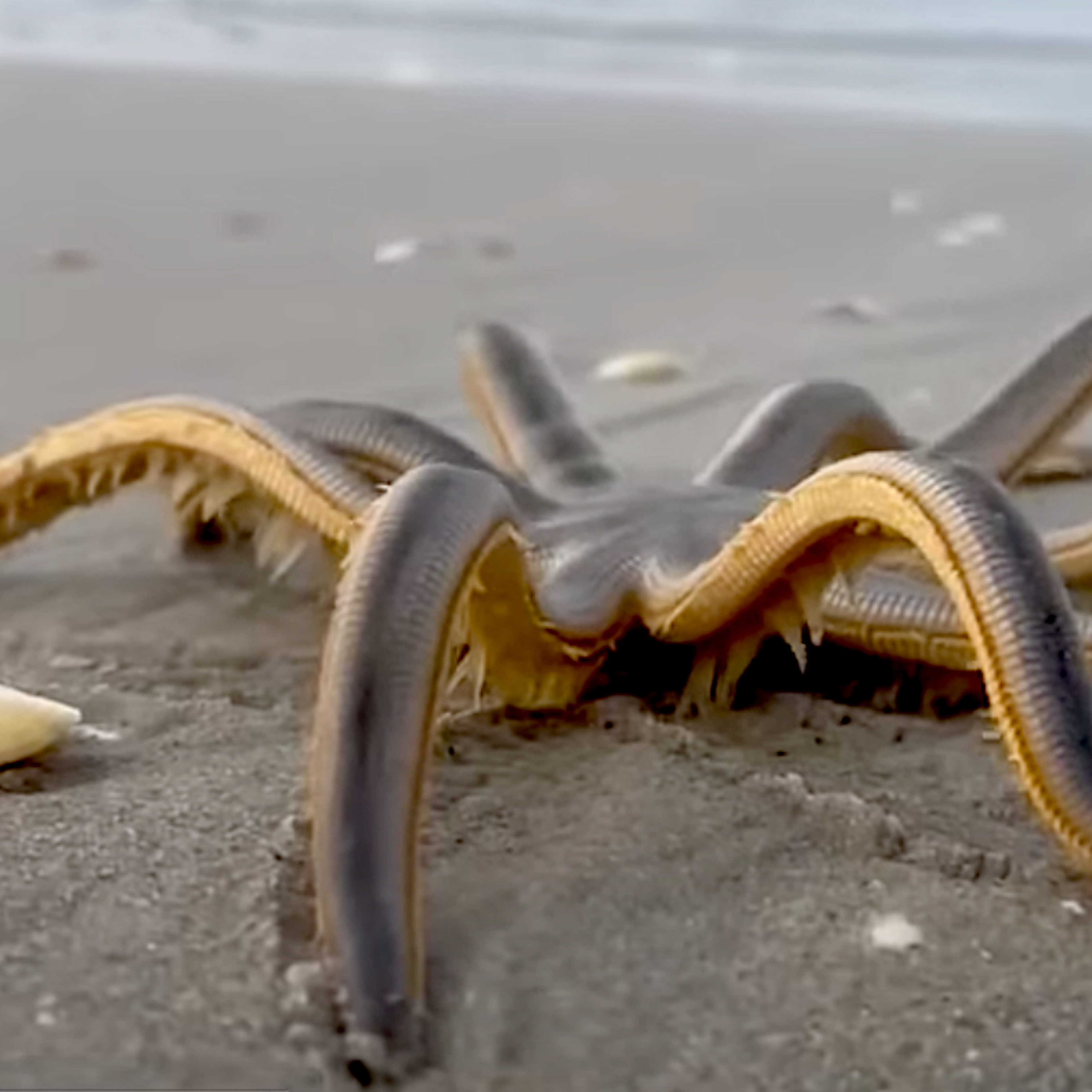 The 5 Best Wave Pools to Surf in America