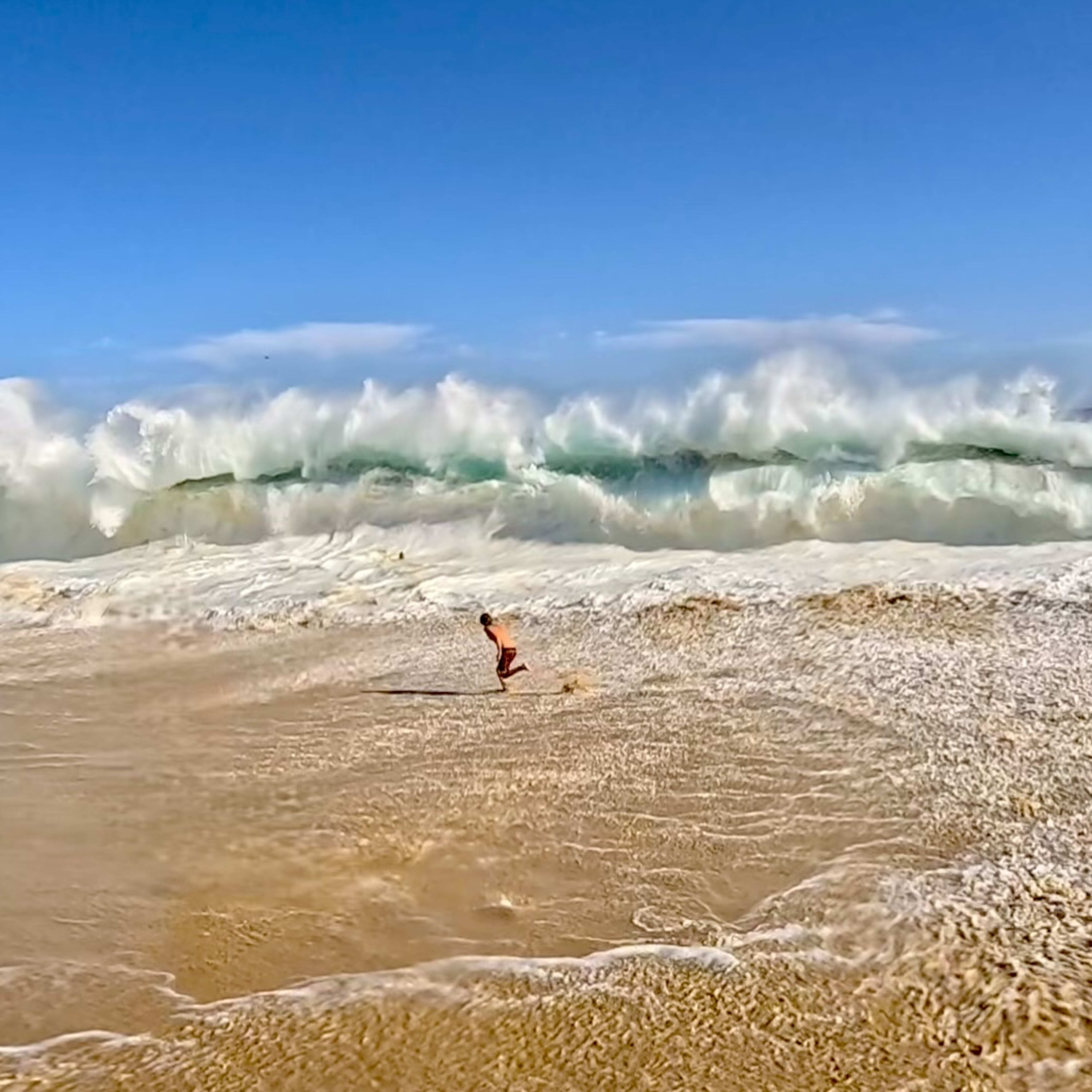 Rogue Wave Slams Cruise Ship, Passengers Panic (Video) - Surfer