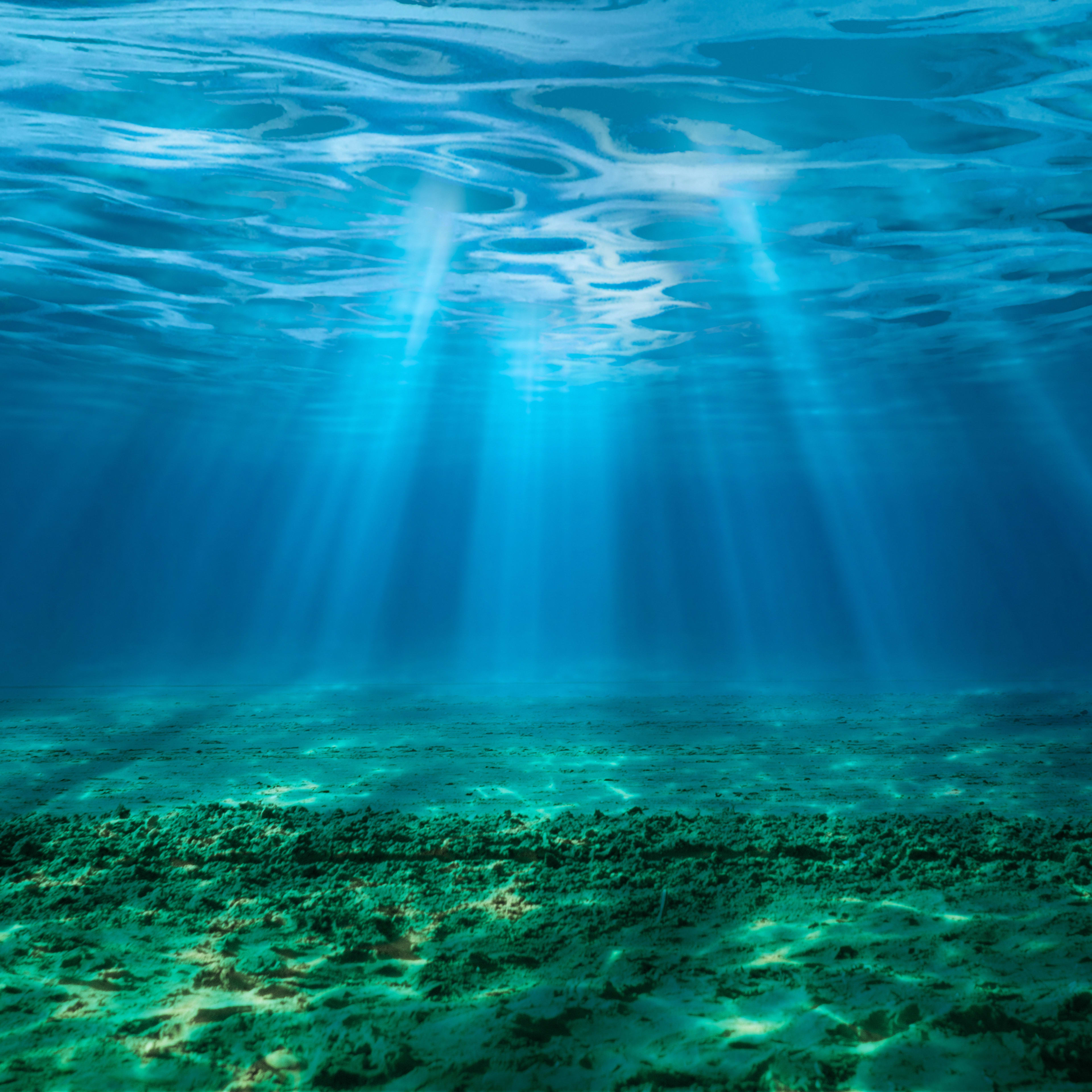 10 Signs You're an Opacarophile (Lover of Sunsets) - Surfer