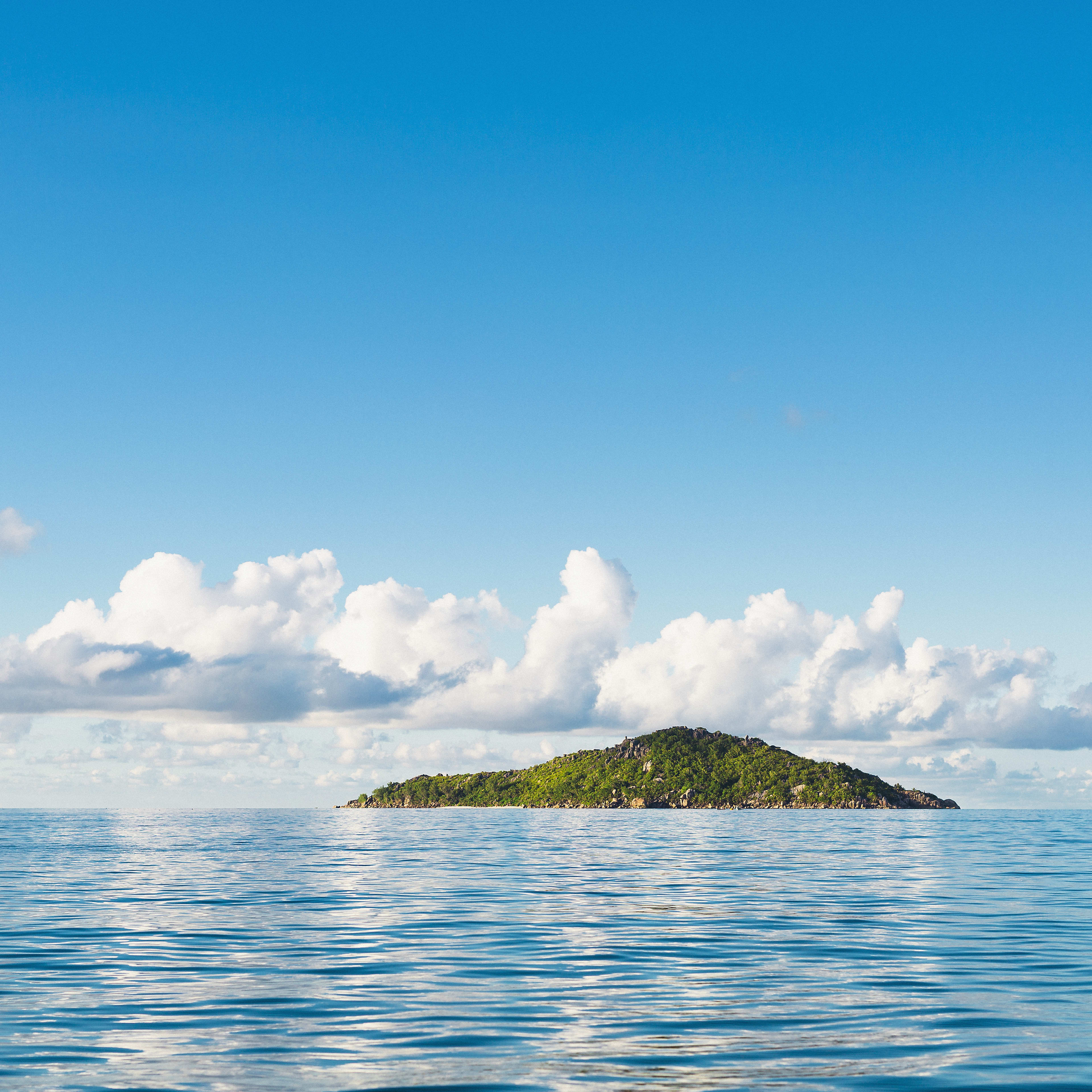 How To Survive a Shark Attack and Stay Safe From Sharks - Surfer