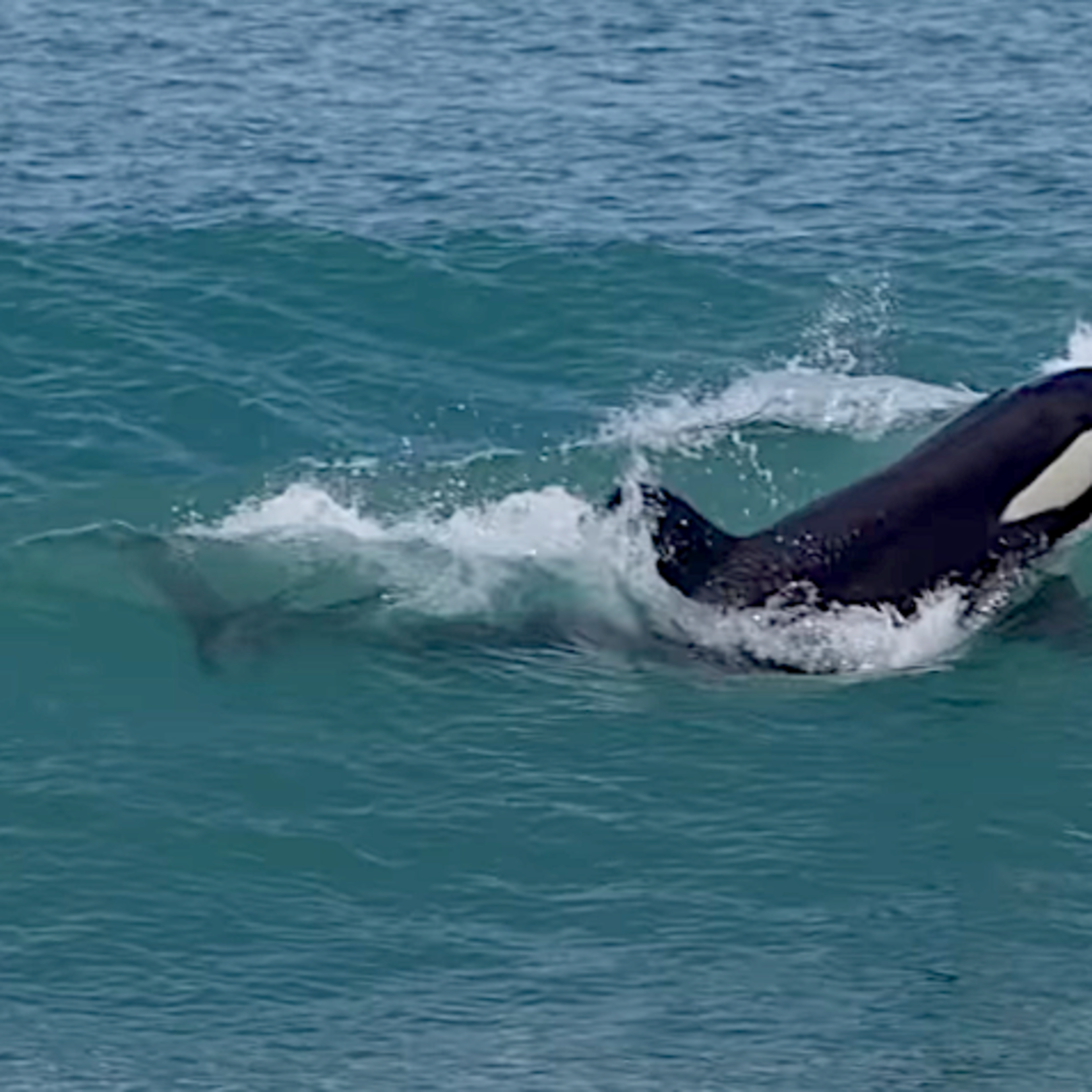 Pharrell’s $350 Million Wave Pool Is Opening Soon - Surfer