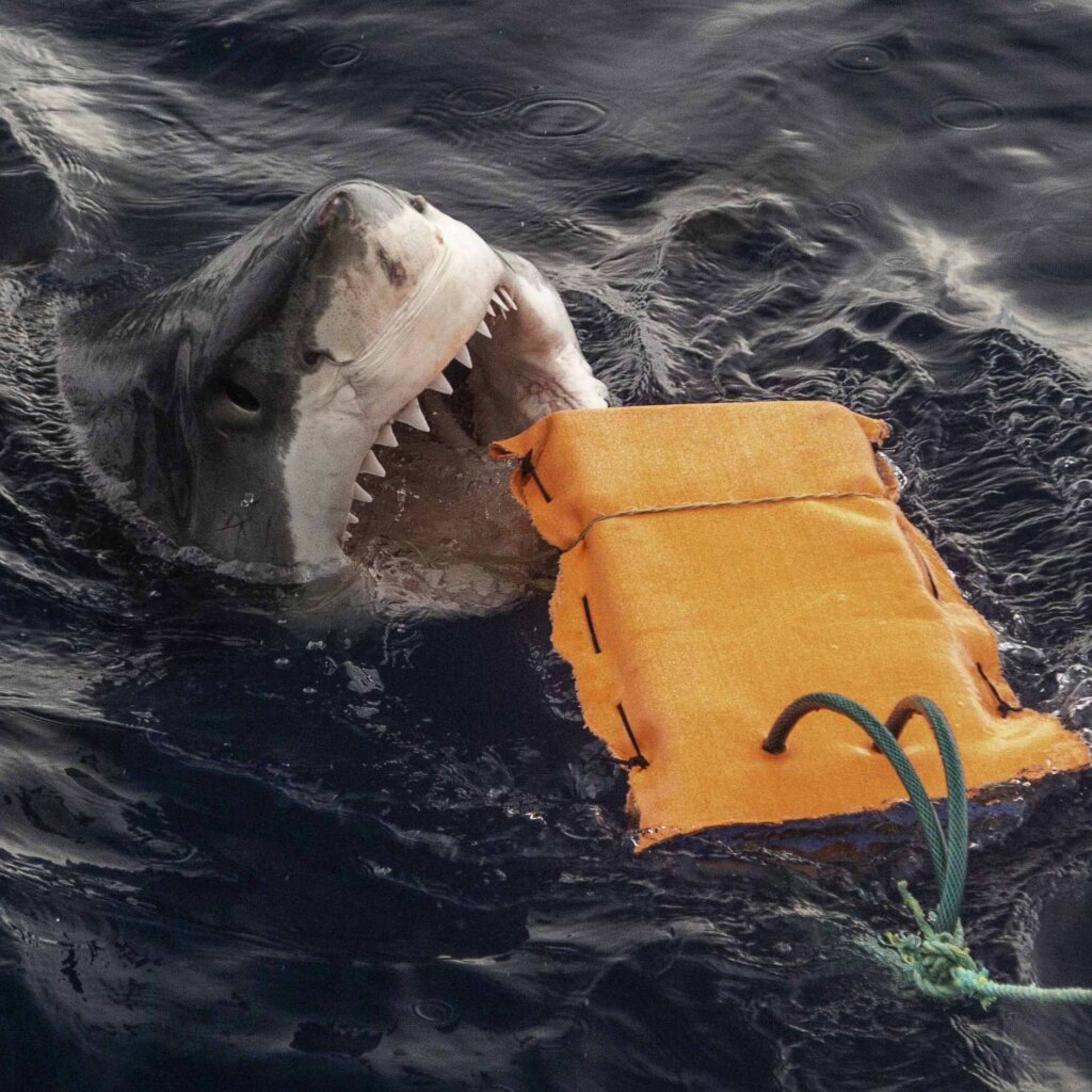 World’s Largest, One-Trillion Ton Iceberg Swirls to a Stop - Surfer