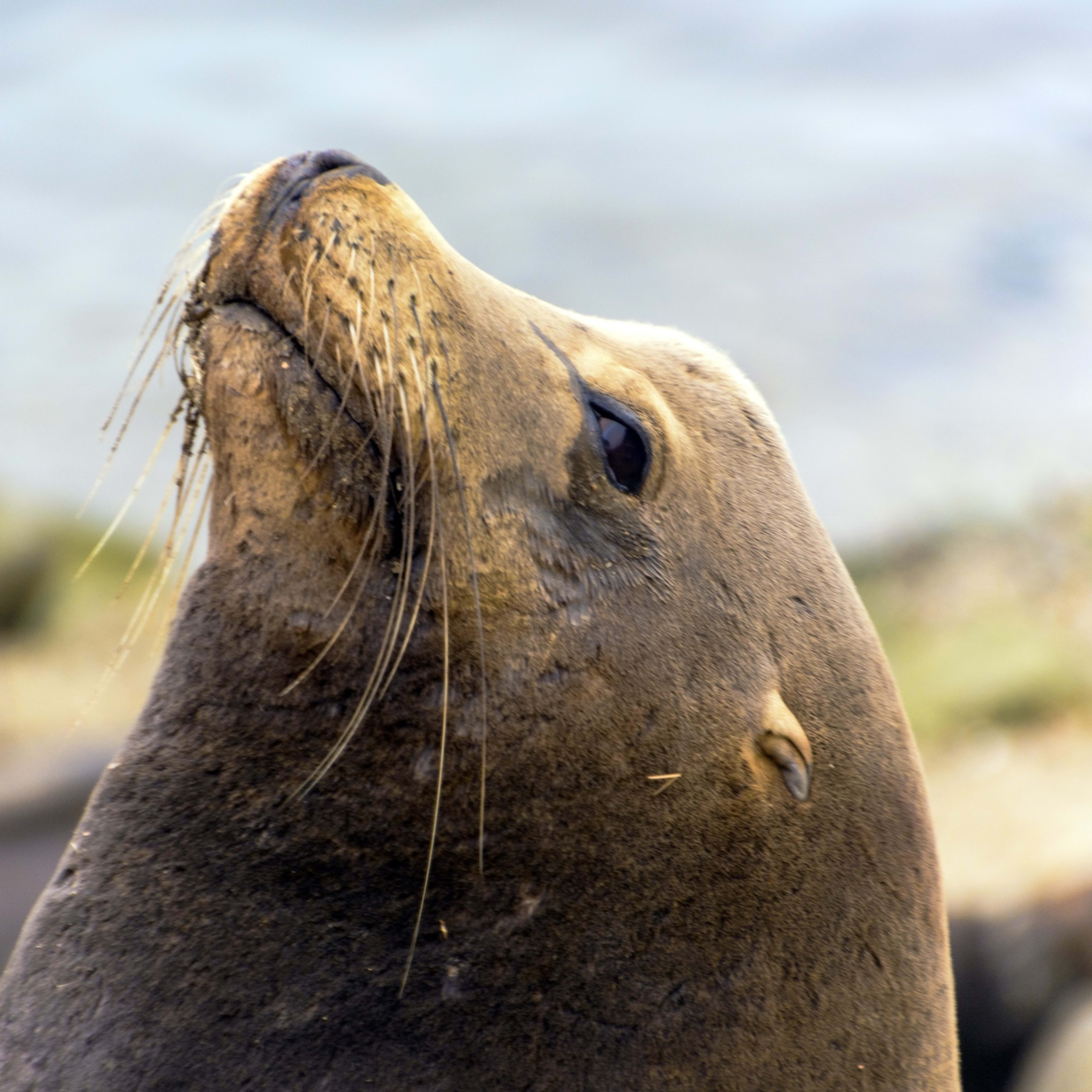 RIP Brock Little - Surfer
