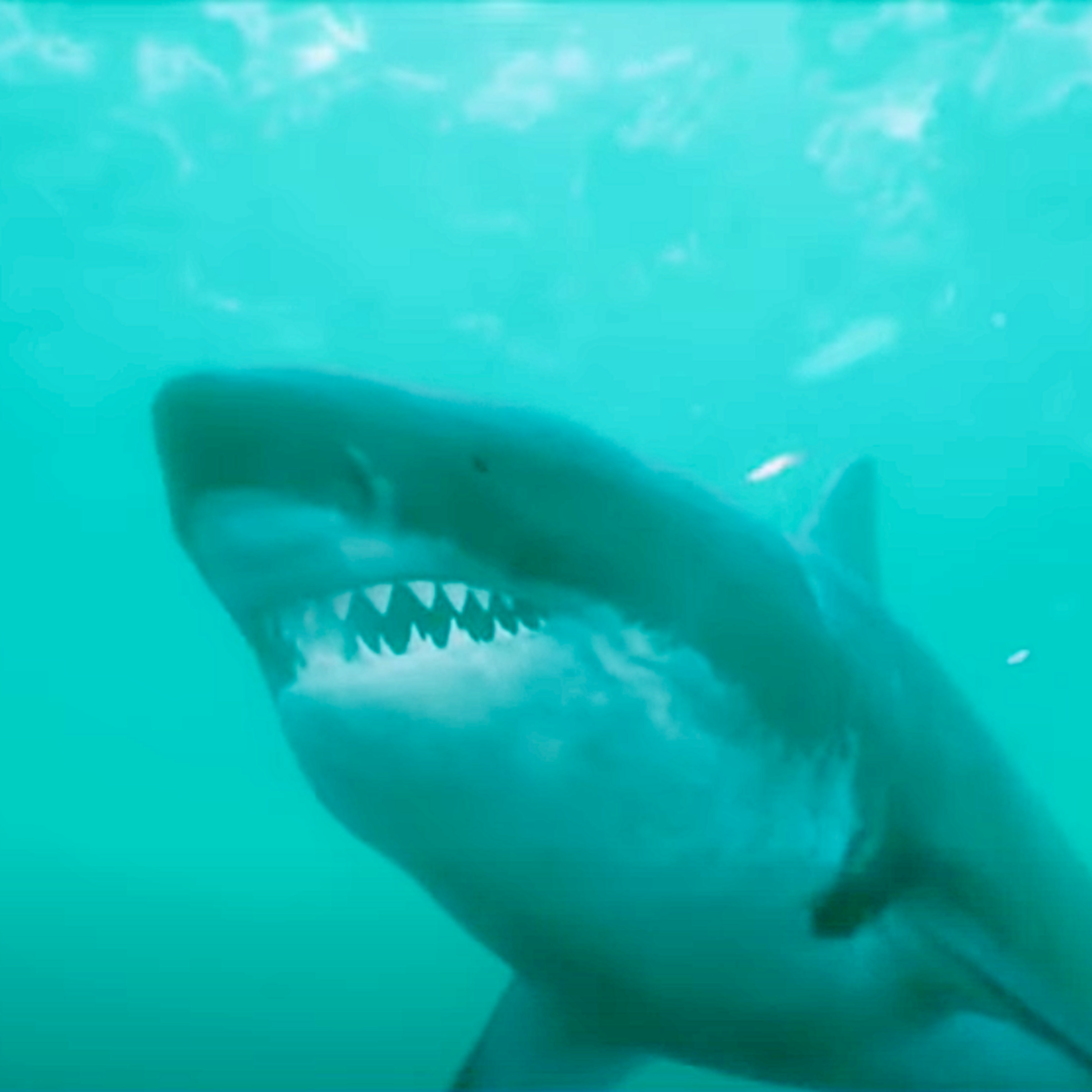 What Is Wave Refraction? Learn the Basics - Surfer