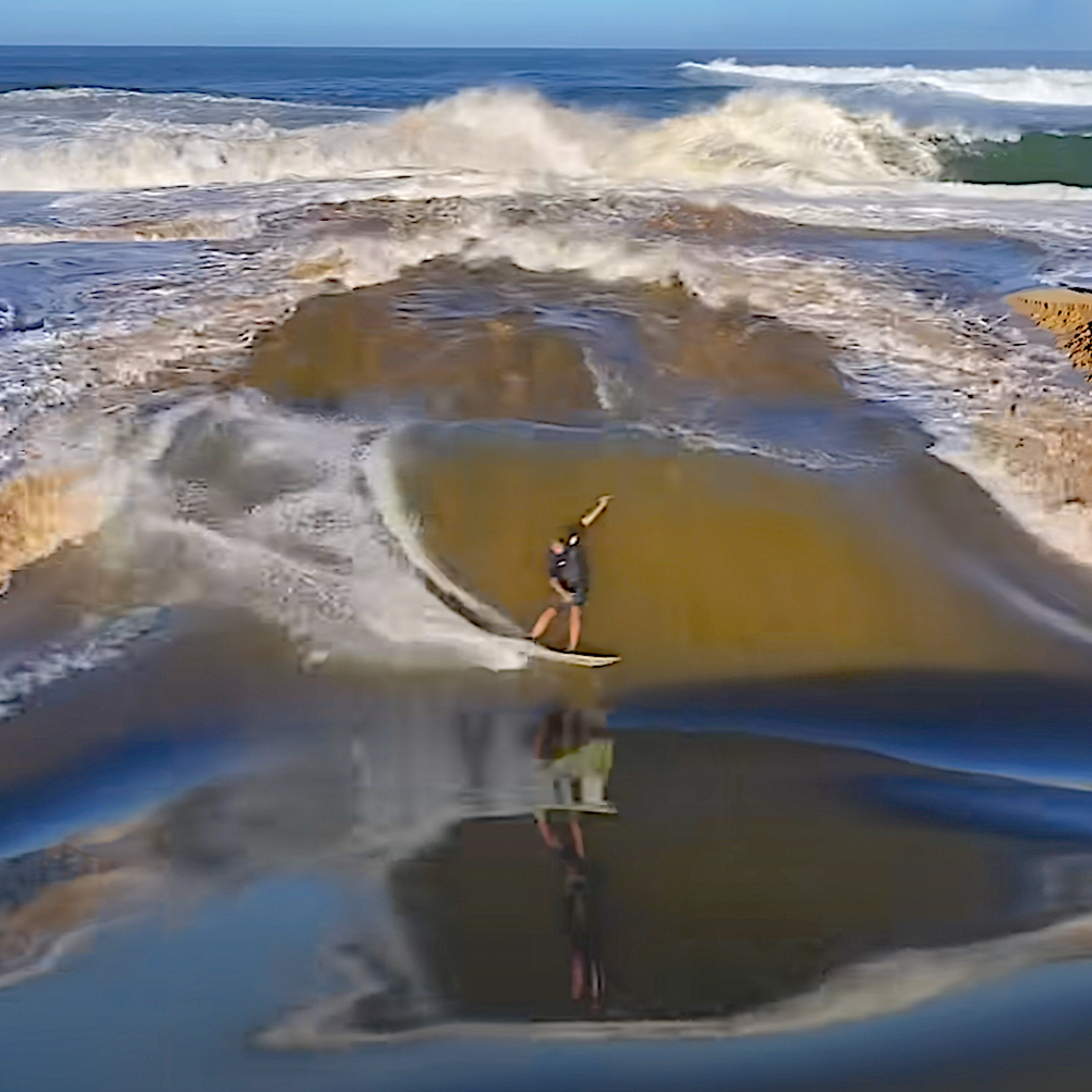 How To Survive a Shark Attack and Stay Safe From Sharks - Surfer