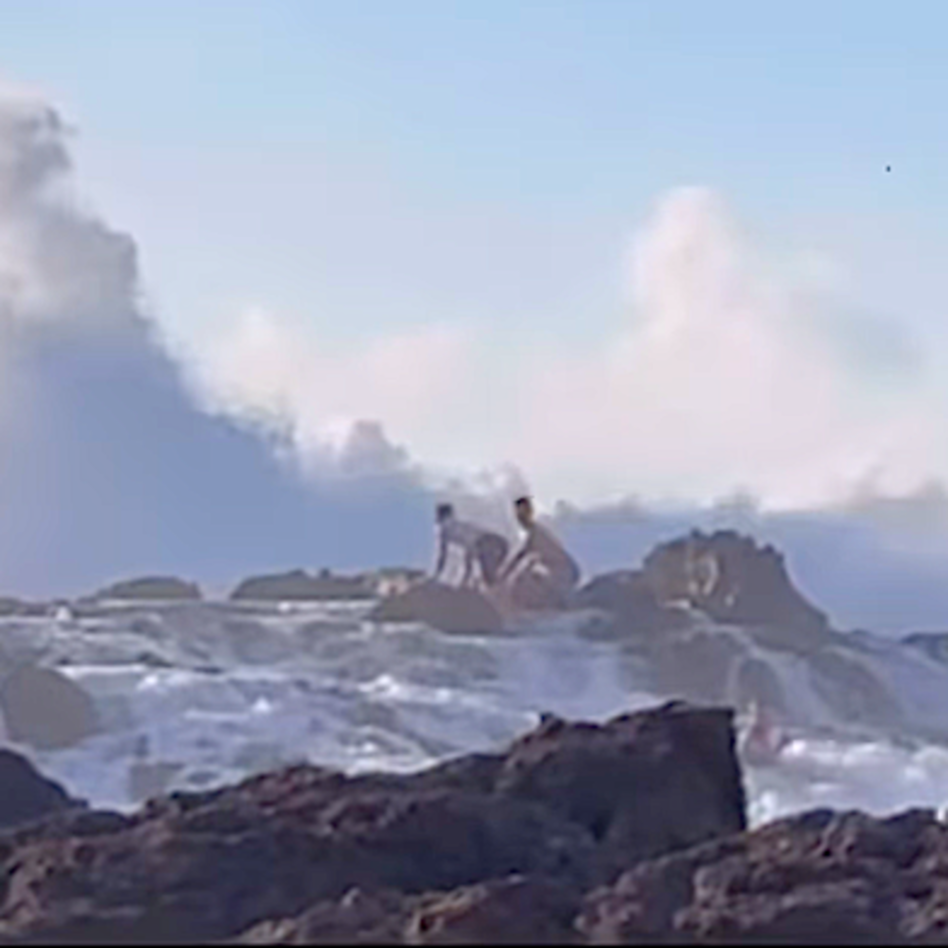 How To Survive a Shark Attack and Stay Safe From Sharks - Surfer