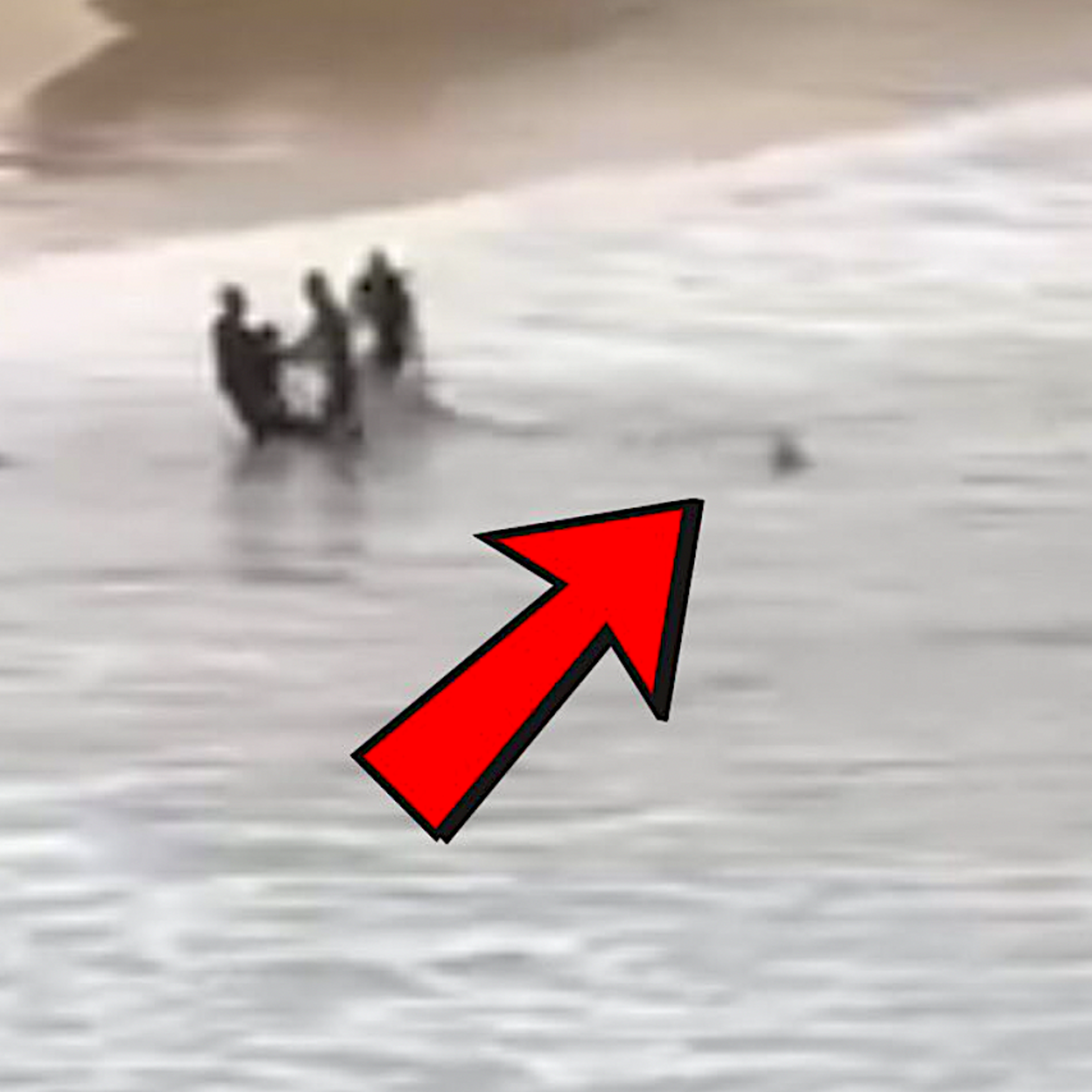 Experienced Surfer Killed by Shark Attack in Sydney, Australia - Surfer