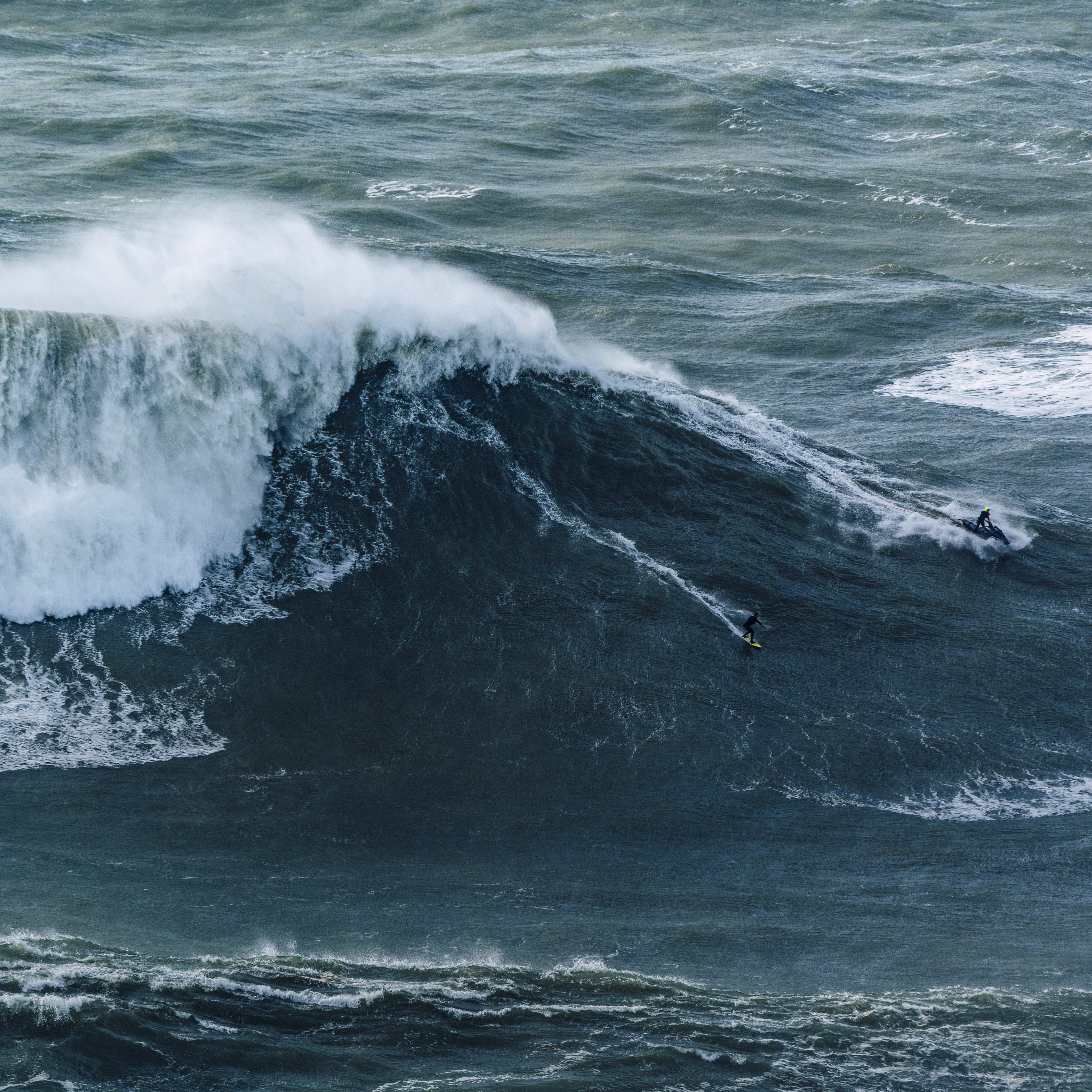 Watch: Fishermen Hook 13-Foot Great White in North Carolina - Surfer
