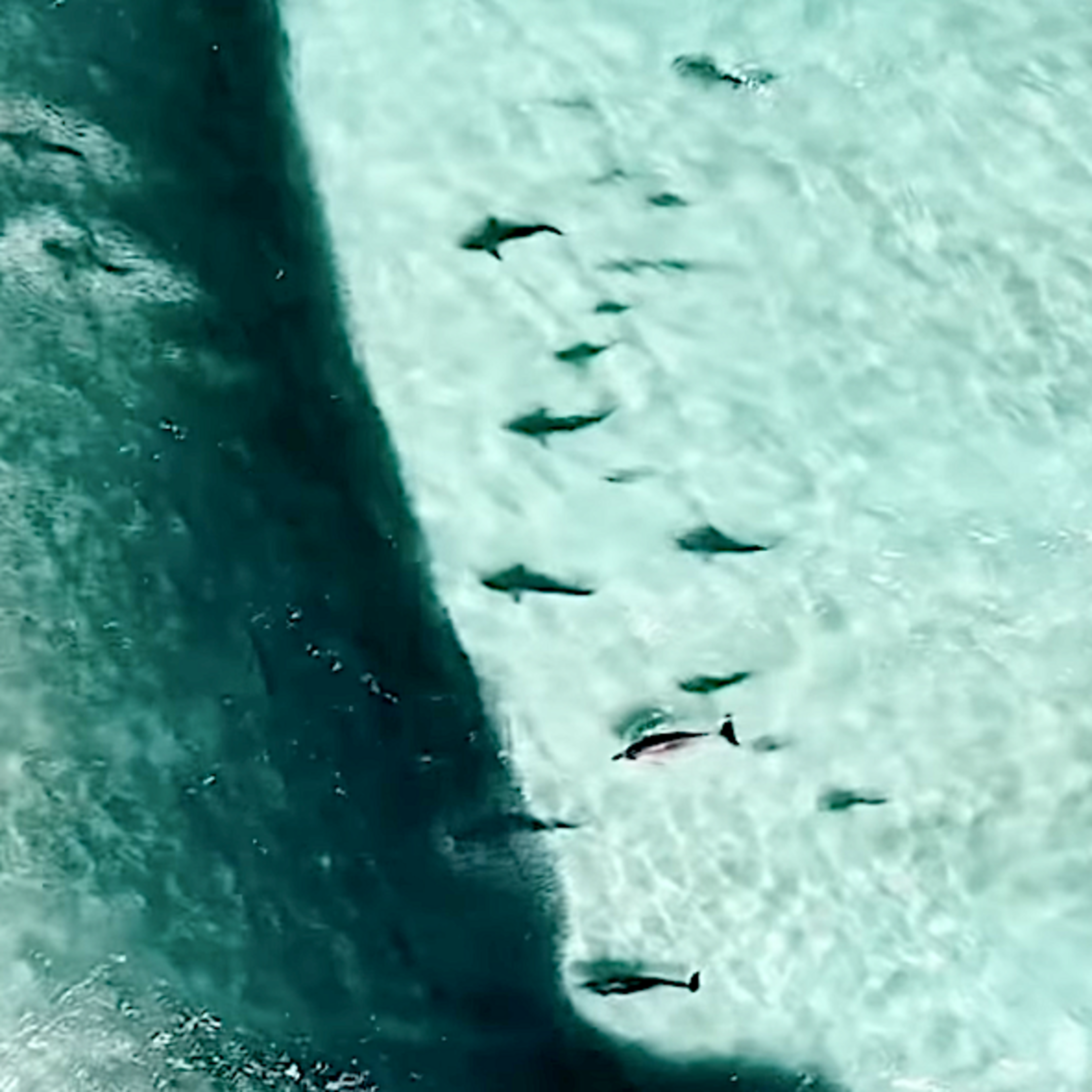 Earth’s Long Lost 8th Continent Revealed by Scientists - Surfer