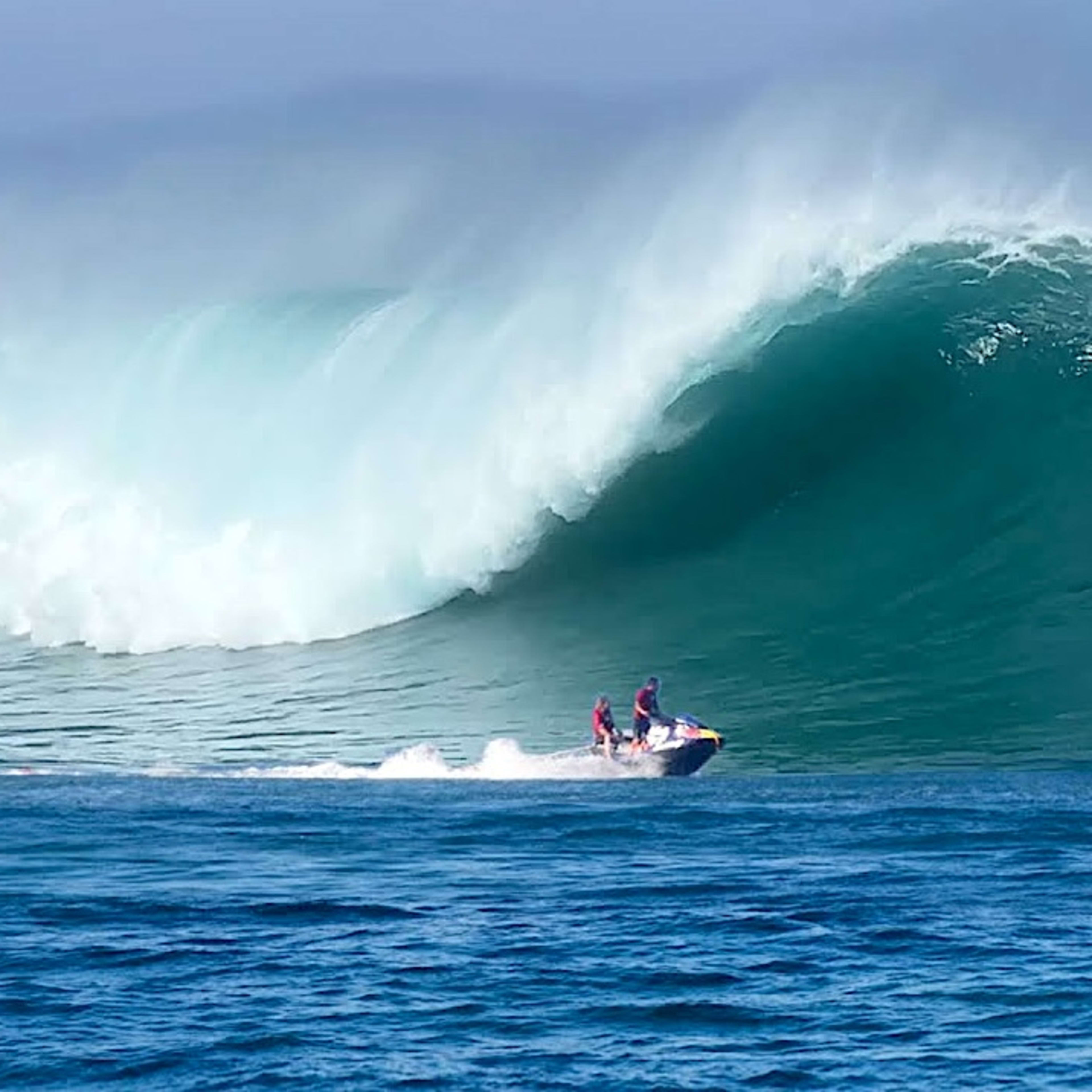 'Surf’s Up' Is Back: Animated Film Returns as TV Series - Surfer