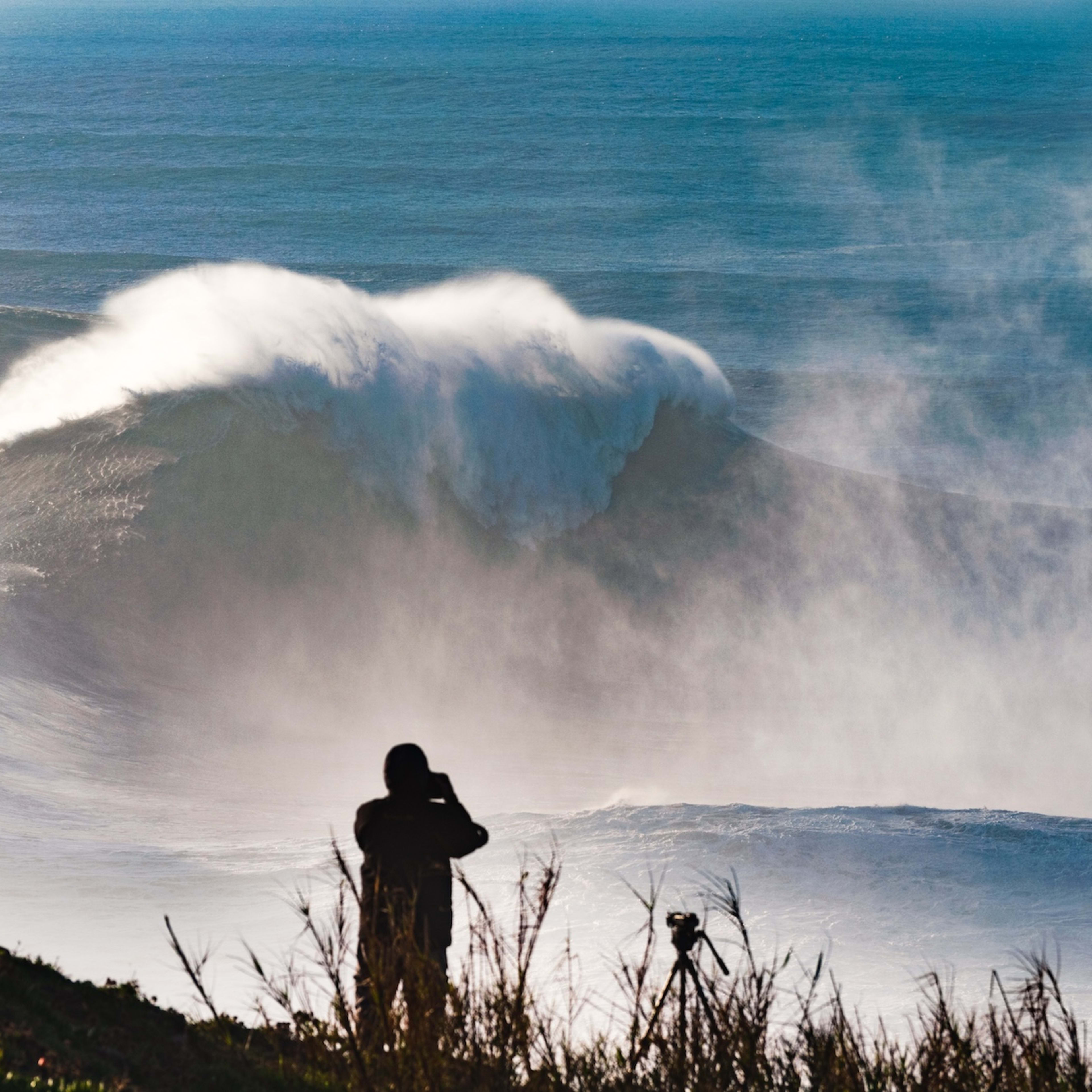 Breaking: Stephanie Gilmore Is Back on the Championship Tour - Surfer