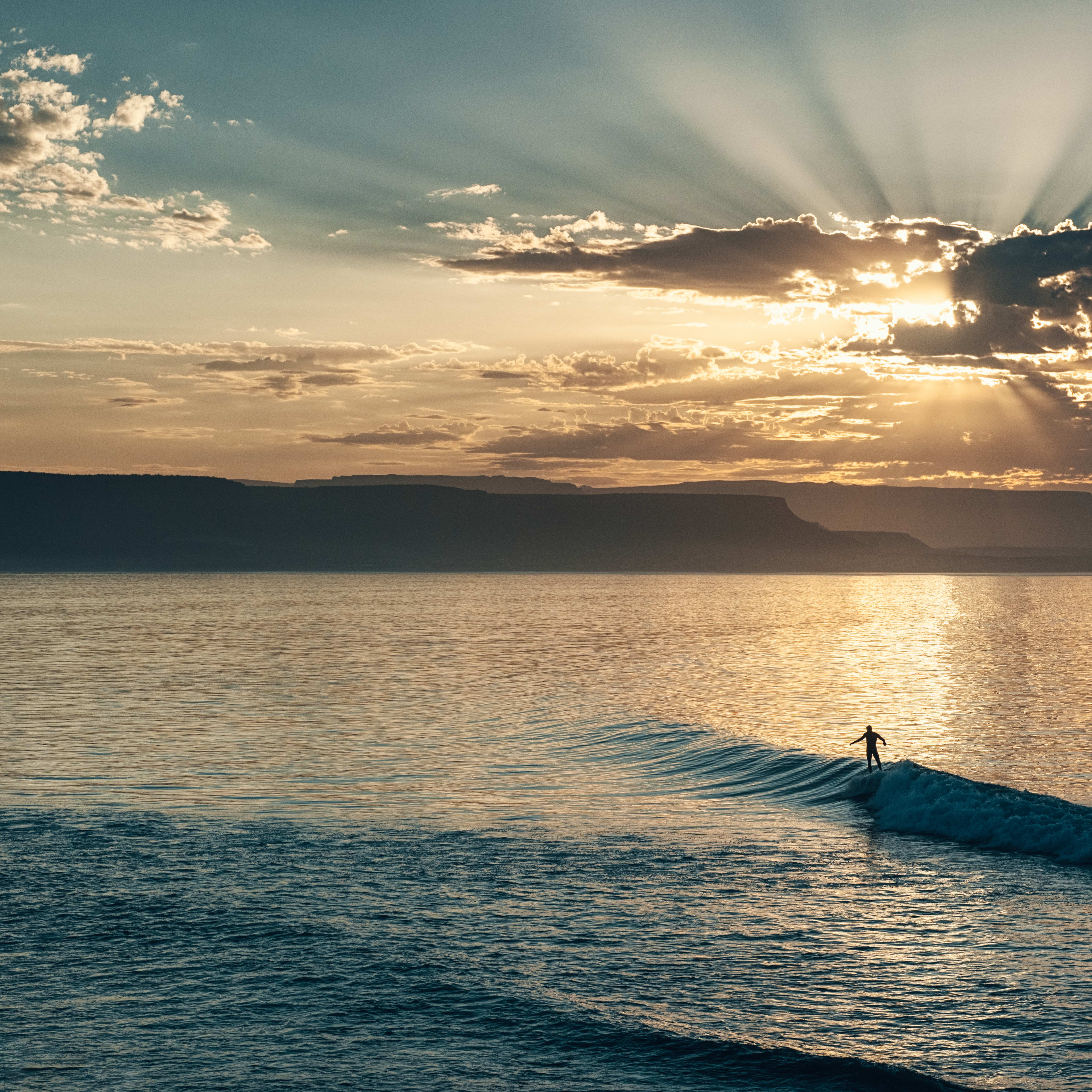 Former Pro Surfer Conan Hayes Linked to Donald Trump 2020 Election ...