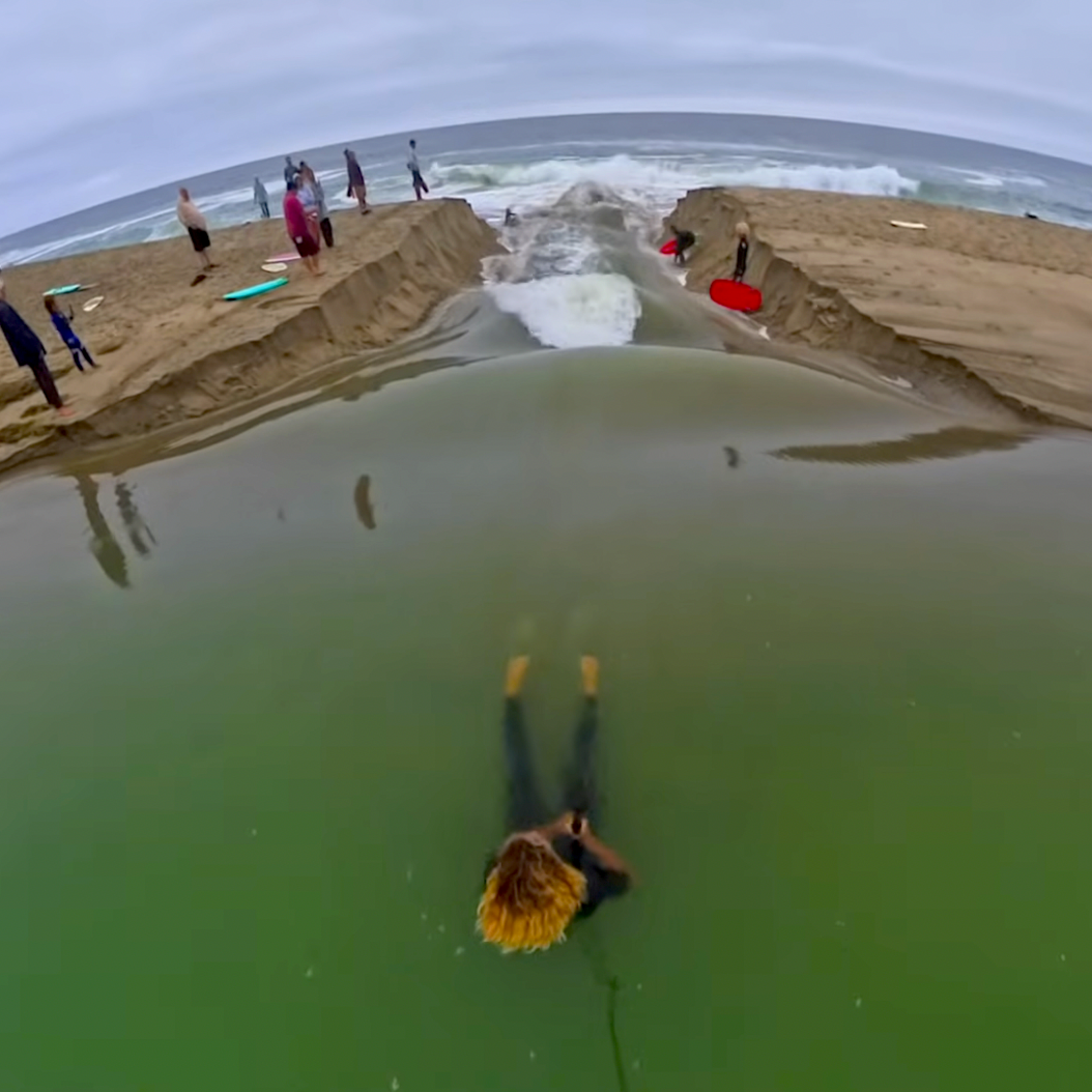 How To Survive a Shark Attack and Stay Safe From Sharks - Surfer