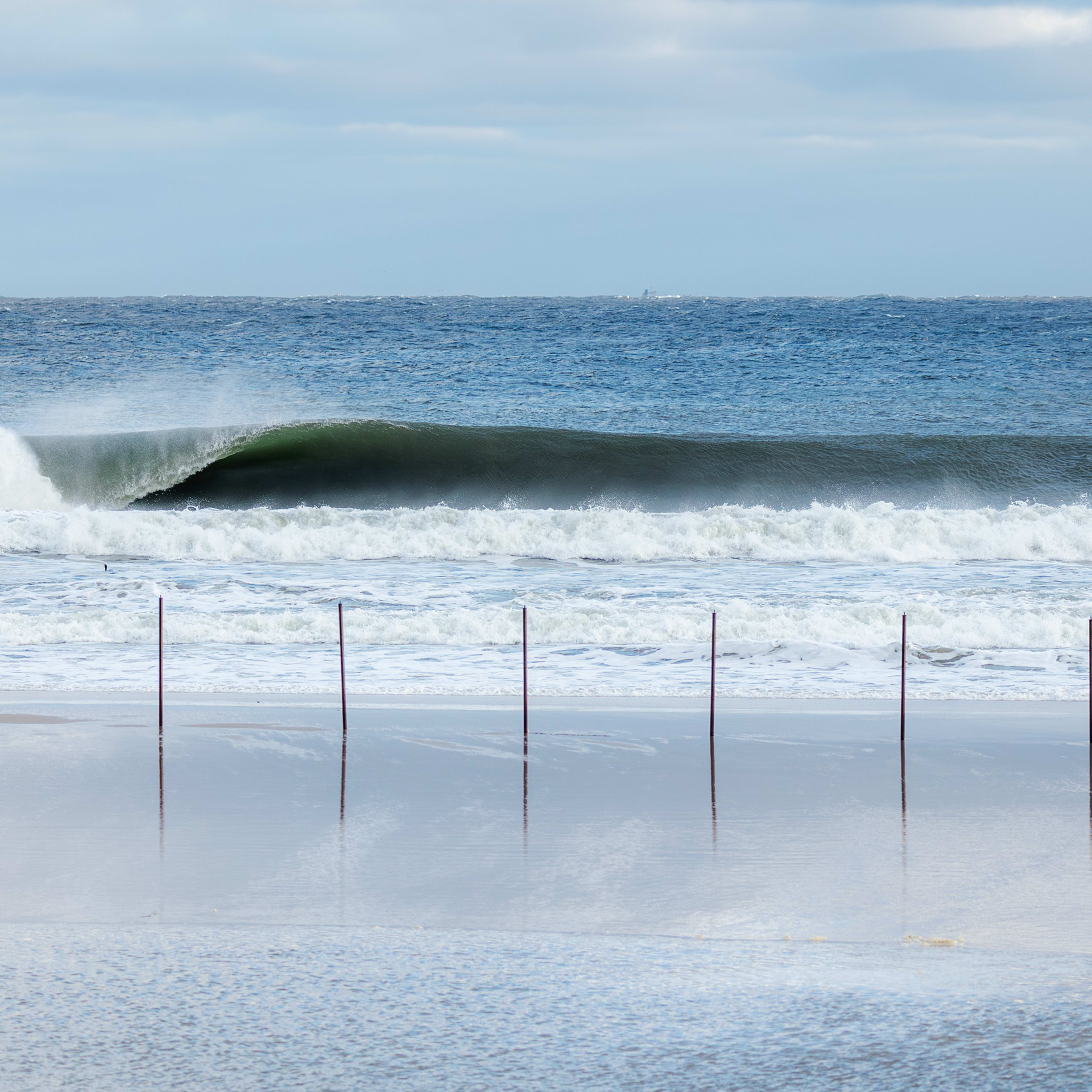 Former Pro Surfer Conan Hayes Linked to Donald Trump 2020 Election ...