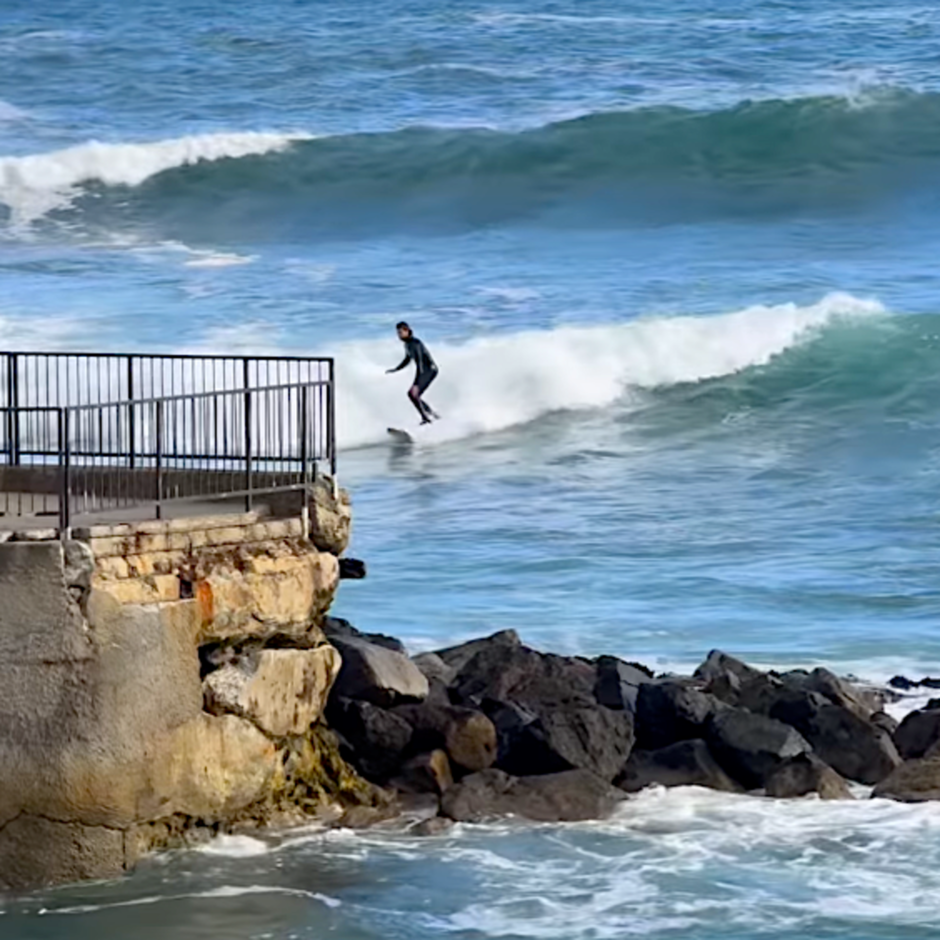 Coroner Confirms Shark Attack Killed Swimmer Erica Fox - Surfer