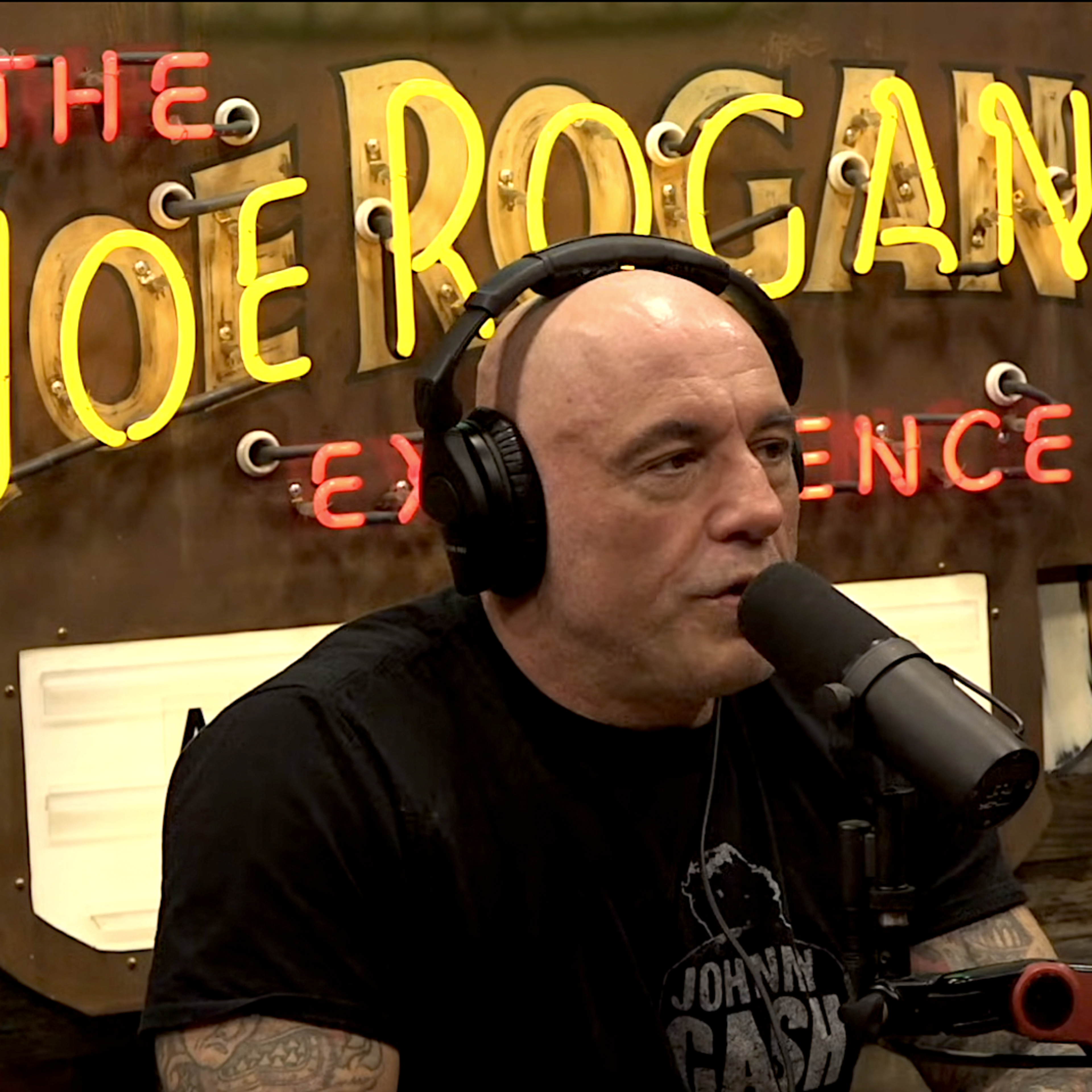 Joe Rogan Talks Fatal Shark Attack in Northern California (Video) - Surfer