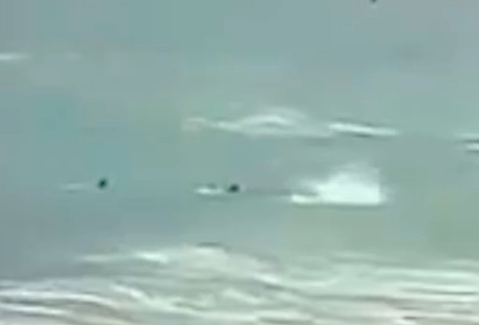 Shark Rampage Continues in Australia: Fourth Surfer Attacked in 48 ...