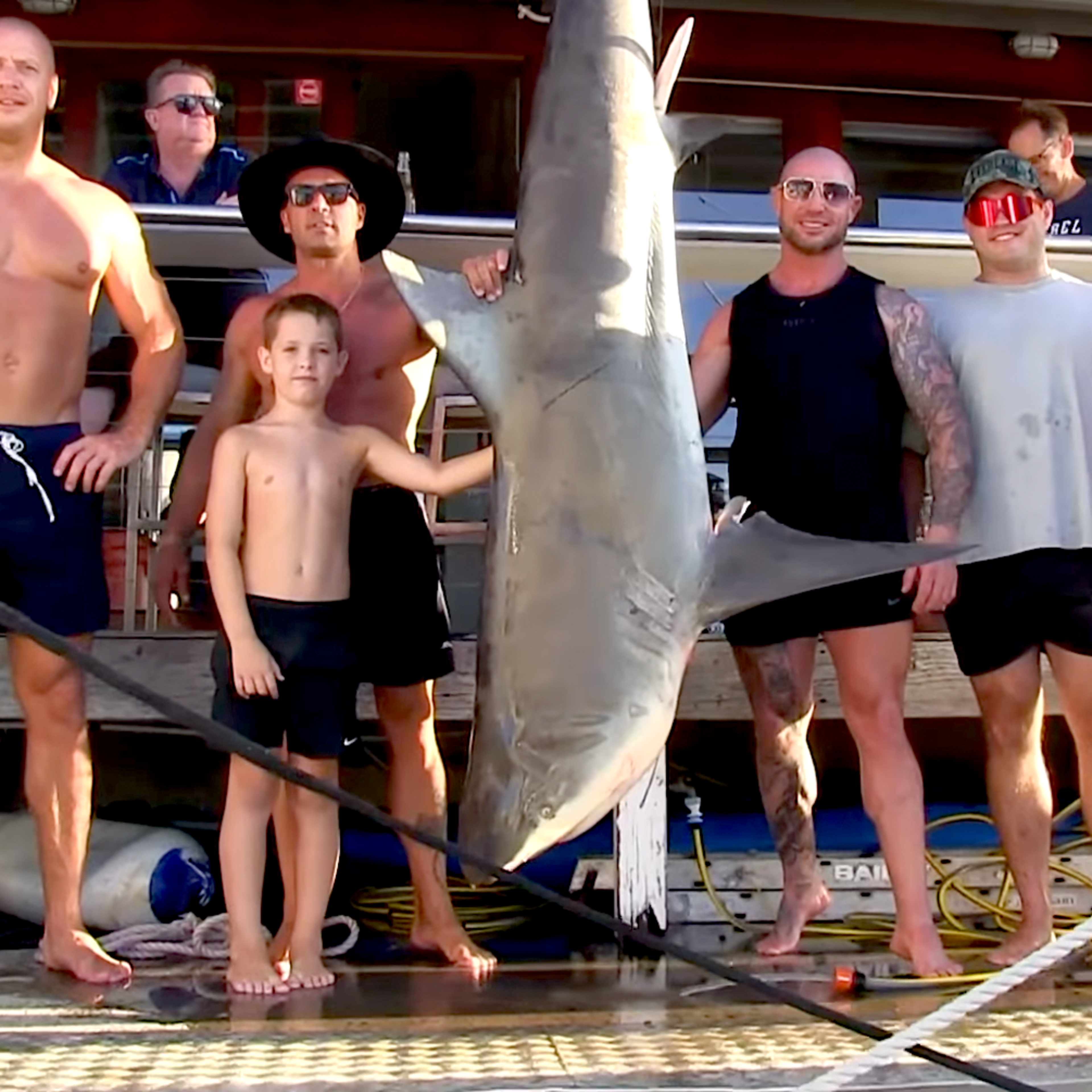 330-Pound Bull Shark Caught Near Deadly Australia Attack (Video) - Surfer