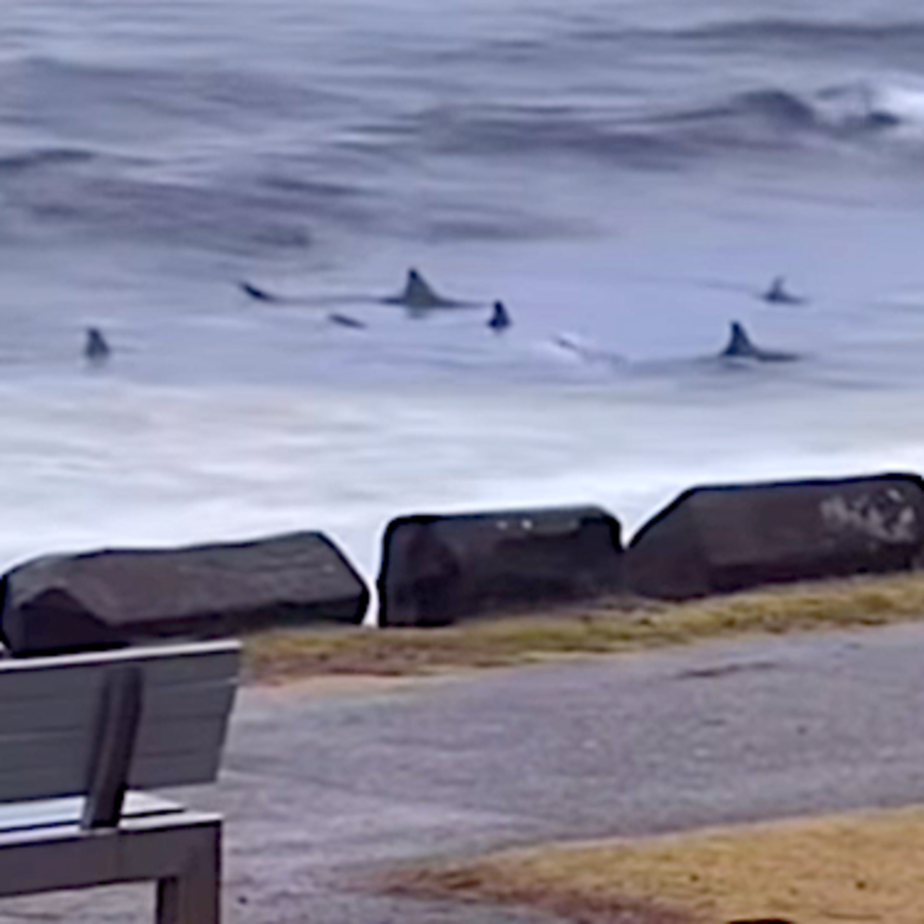 Square Waves: What Are They and Are They Dangerous? - Surfer