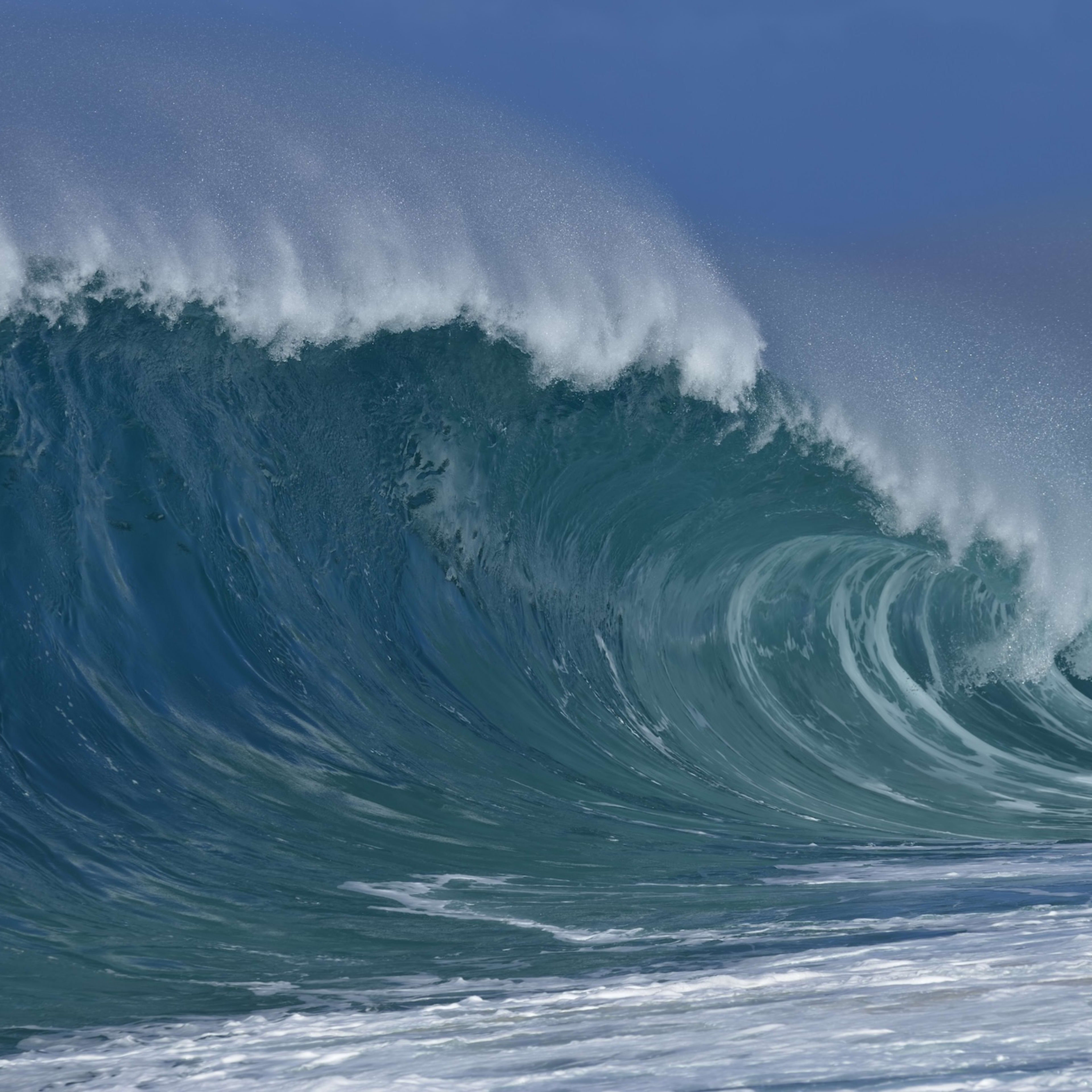 Team USA's Caroline Marks Wins Olympic Surfing Gold - Surfer