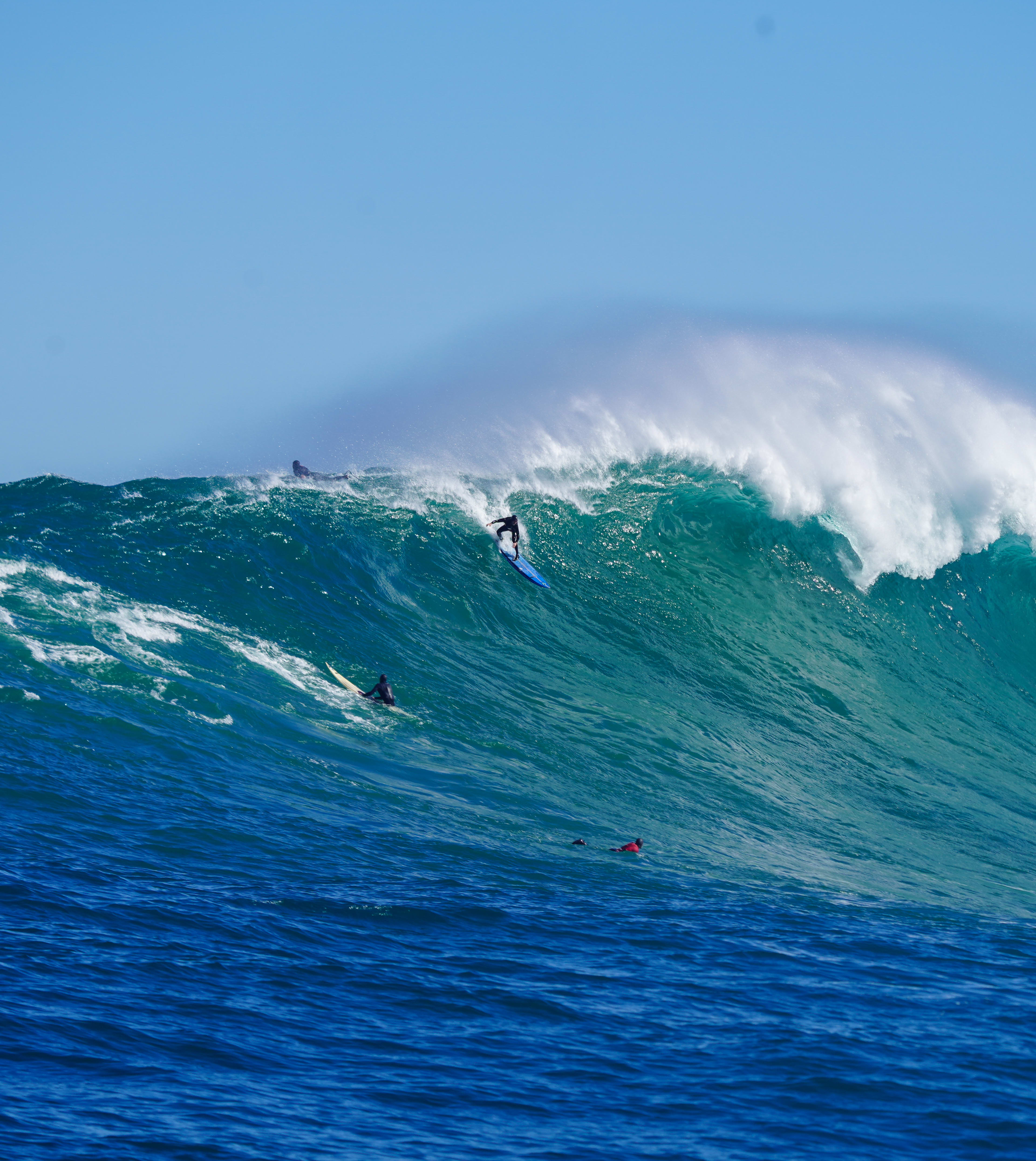 Surfing and Wildlife Collide in "Riding the Sardine Run"