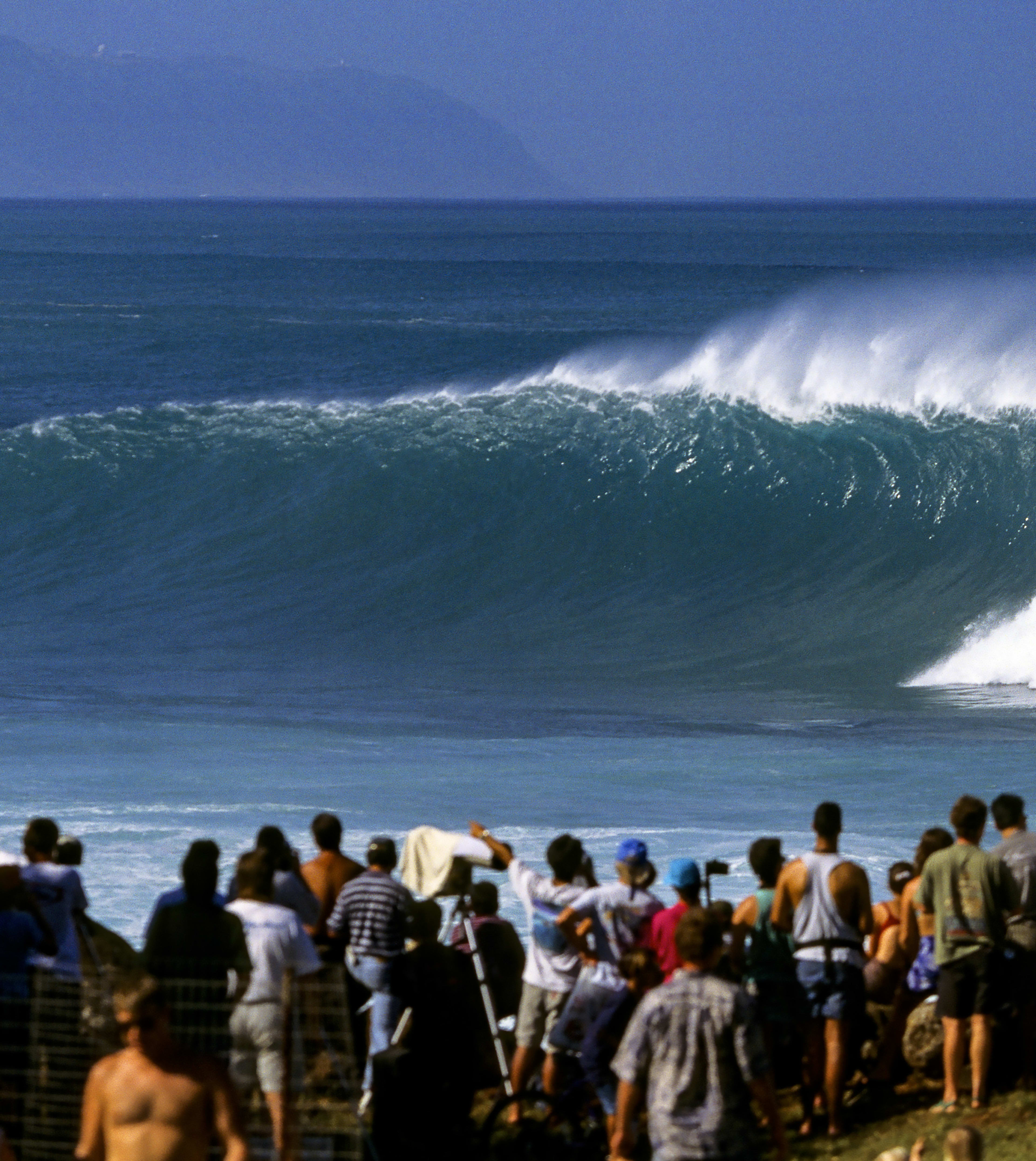 How Lifeguard and Surfer Eddie Aikau Became a Hawaiian Icon