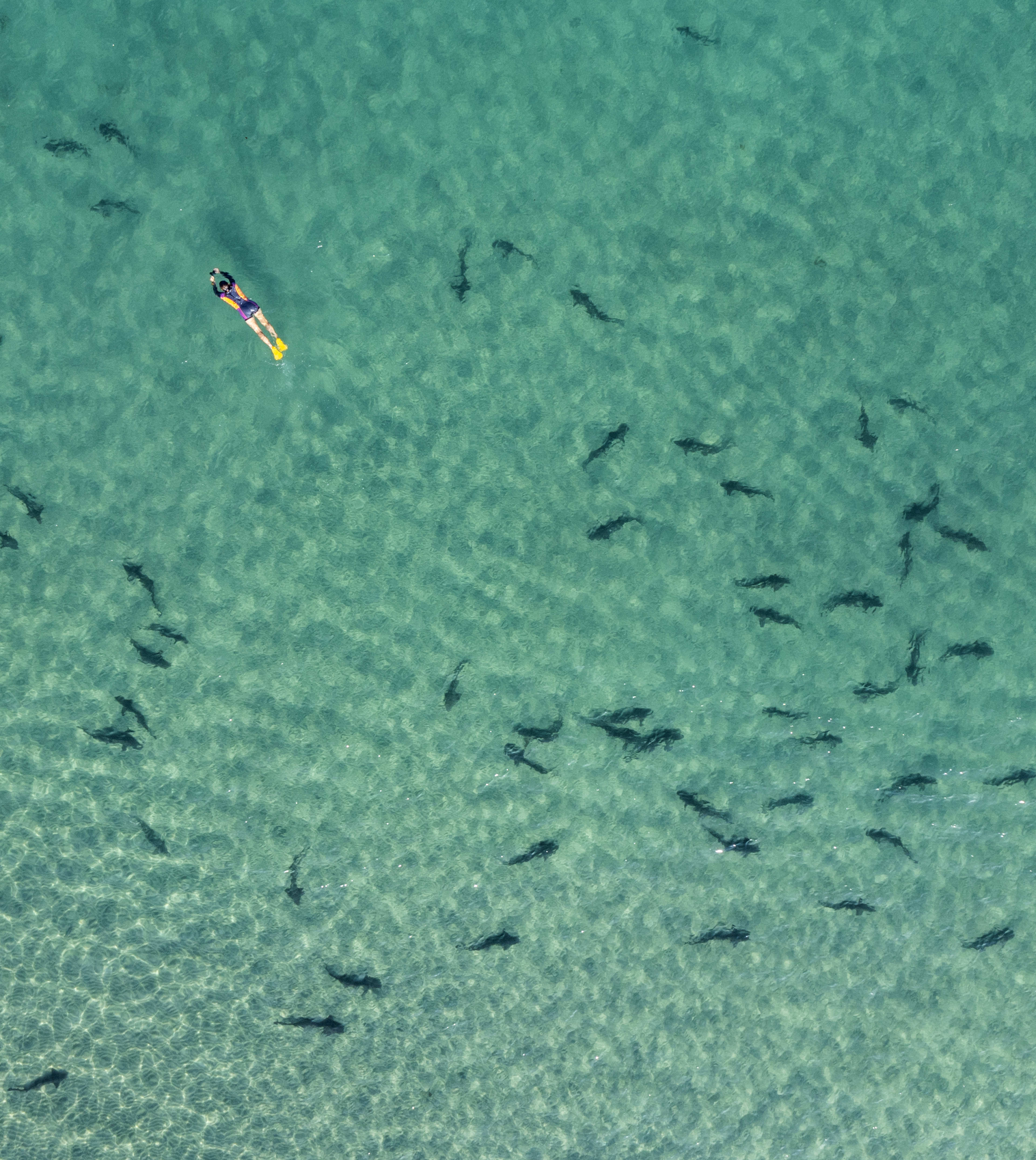 The Top 10 Most Dangerous Beaches in America