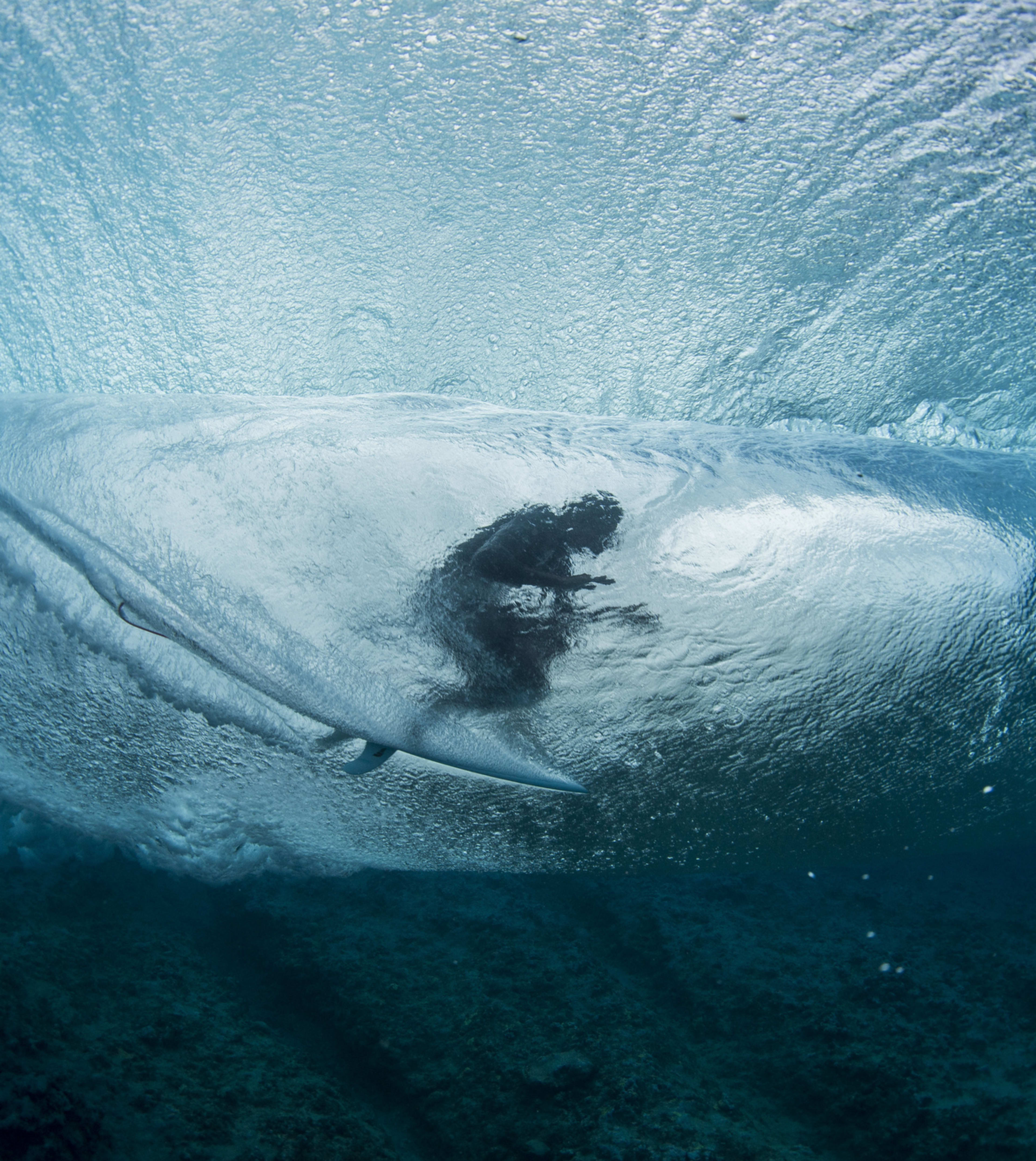 Watch: Natural Selection Finals Day In Micronesia