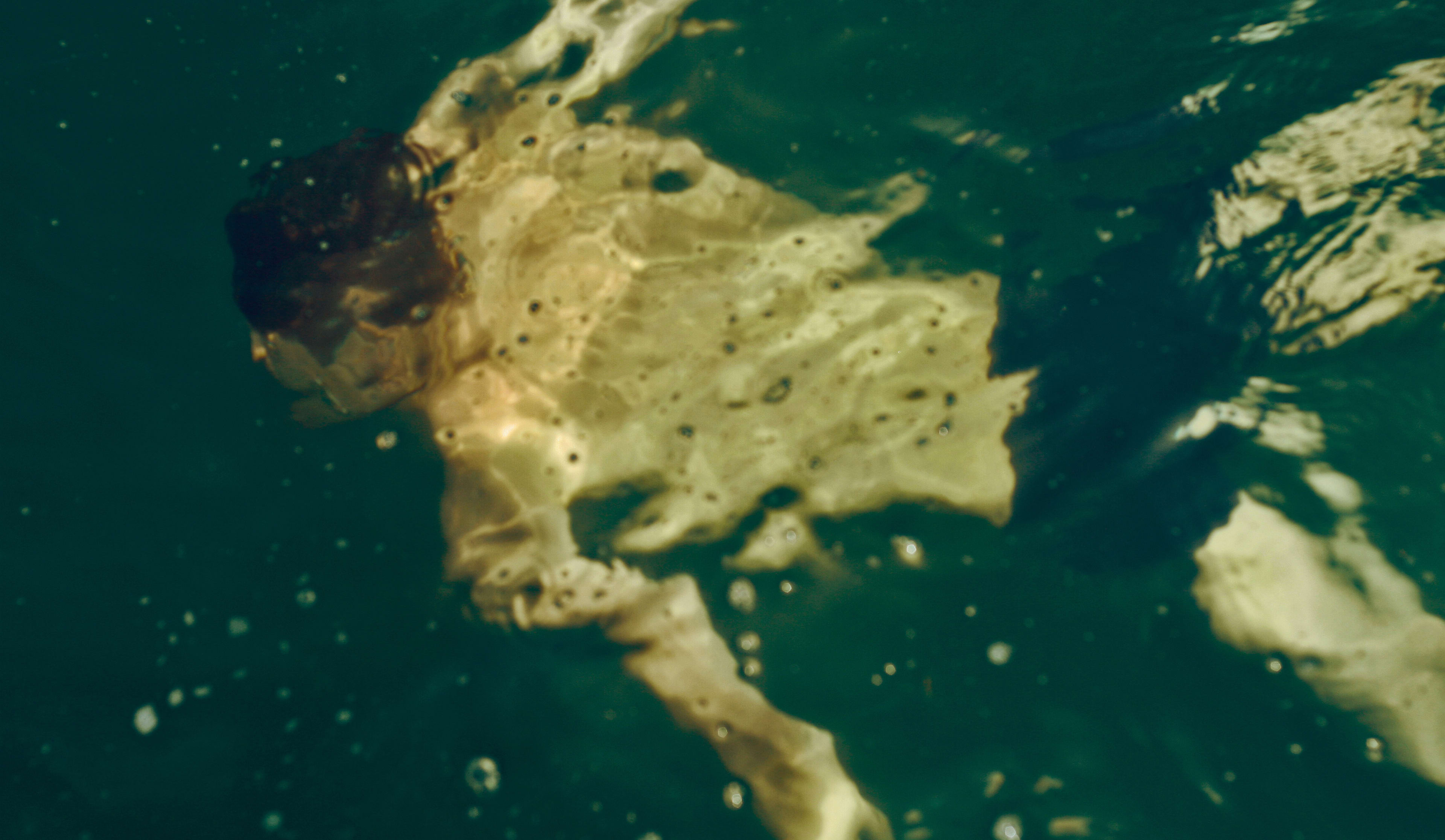 Surfing With a Corpse: Body Found in San Diego Lineup (Video)