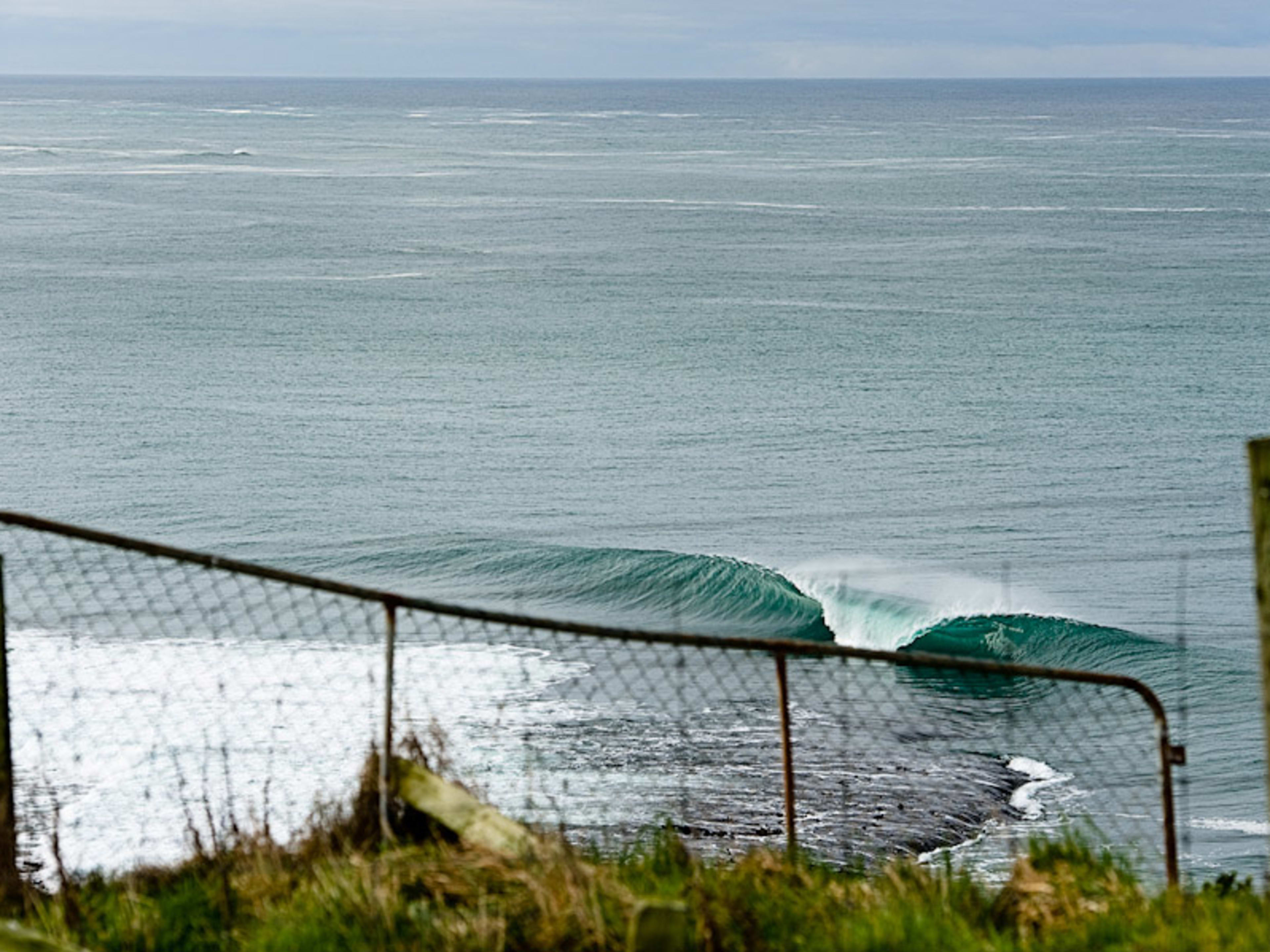 Mikala Jones, Java | SURFER Magazine - Surfer