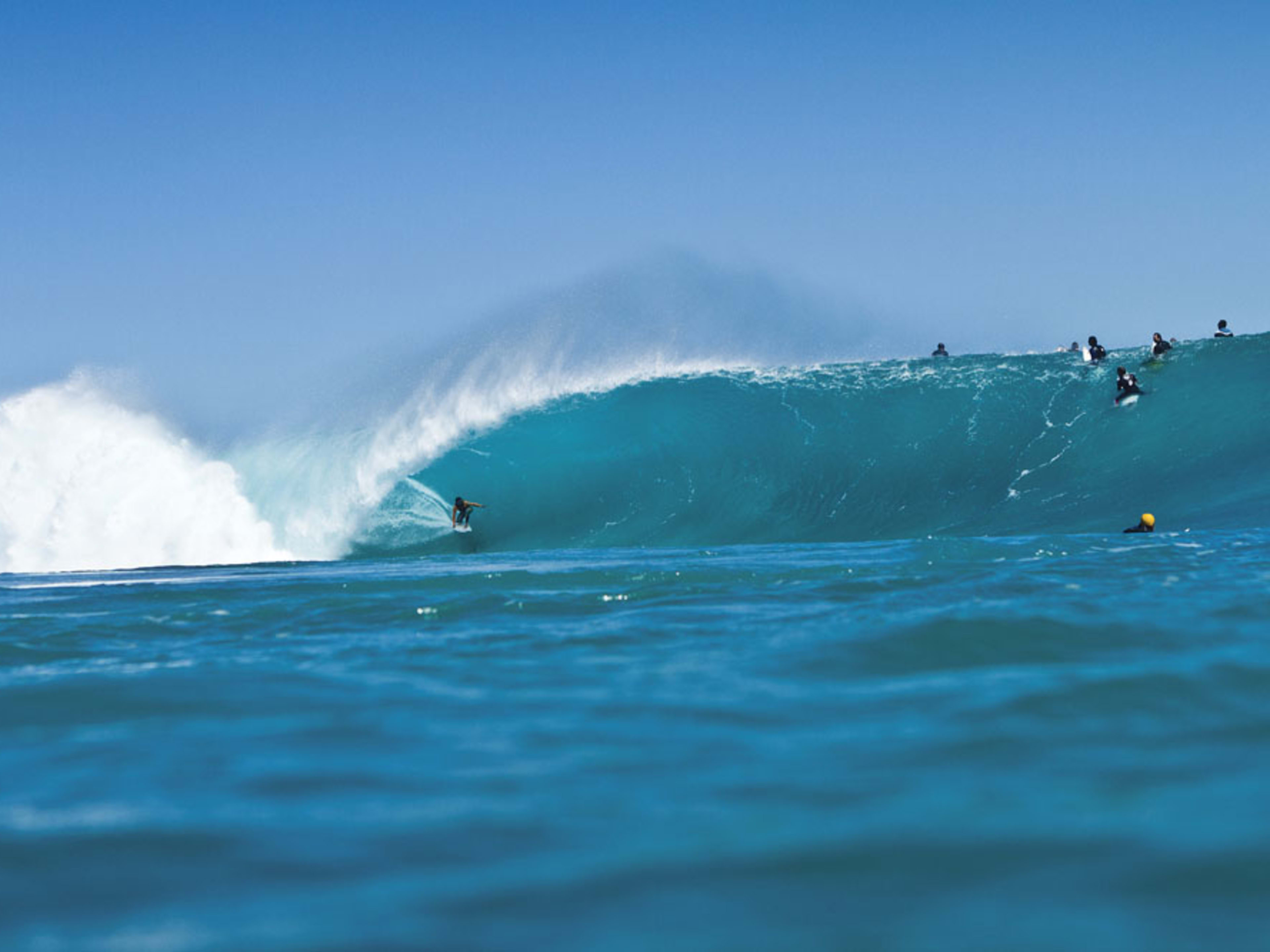 Louder Than The Crowd - Surfer